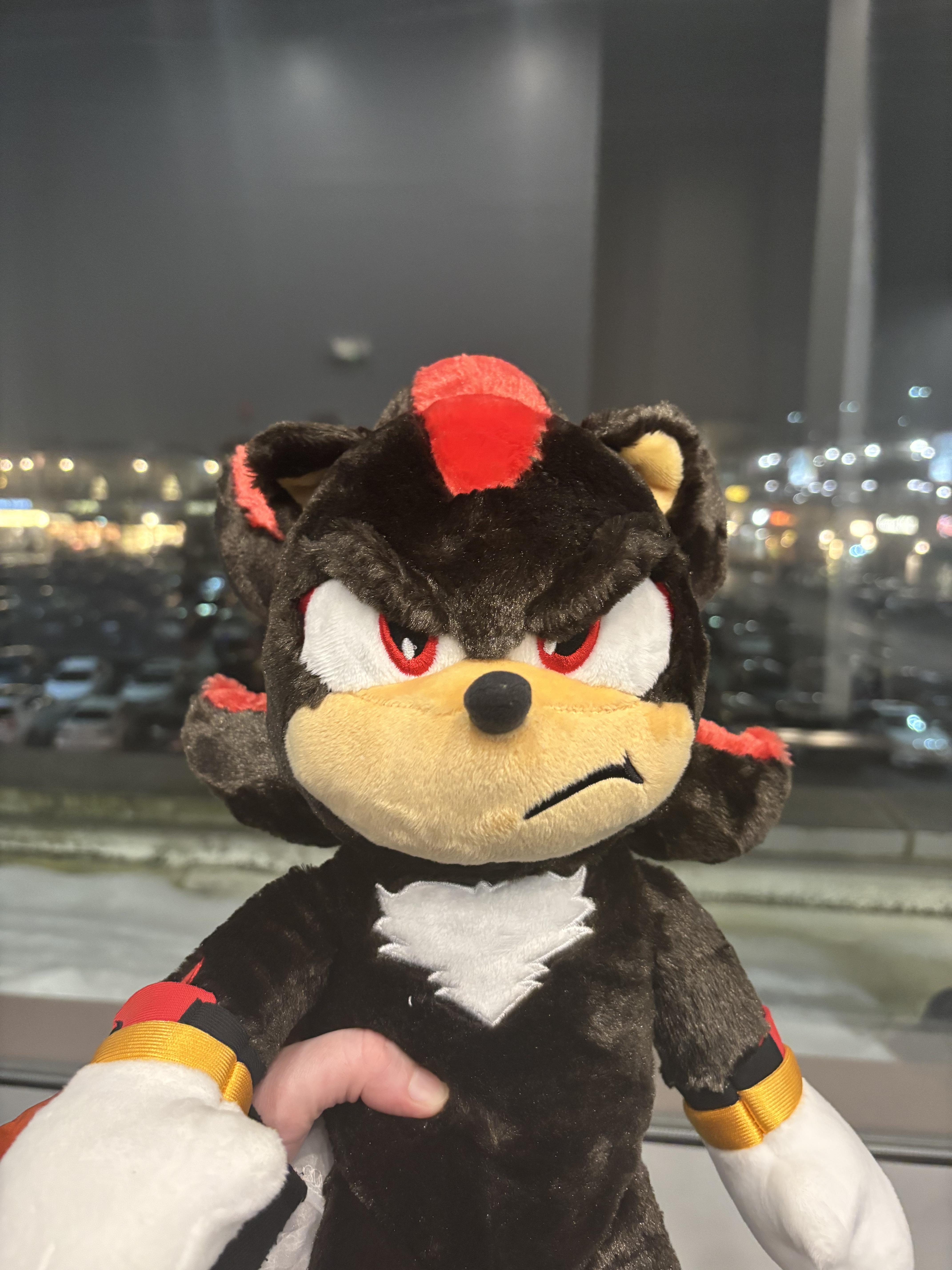 Forgot to post these but I had some fun with Shadow! | Scrolller