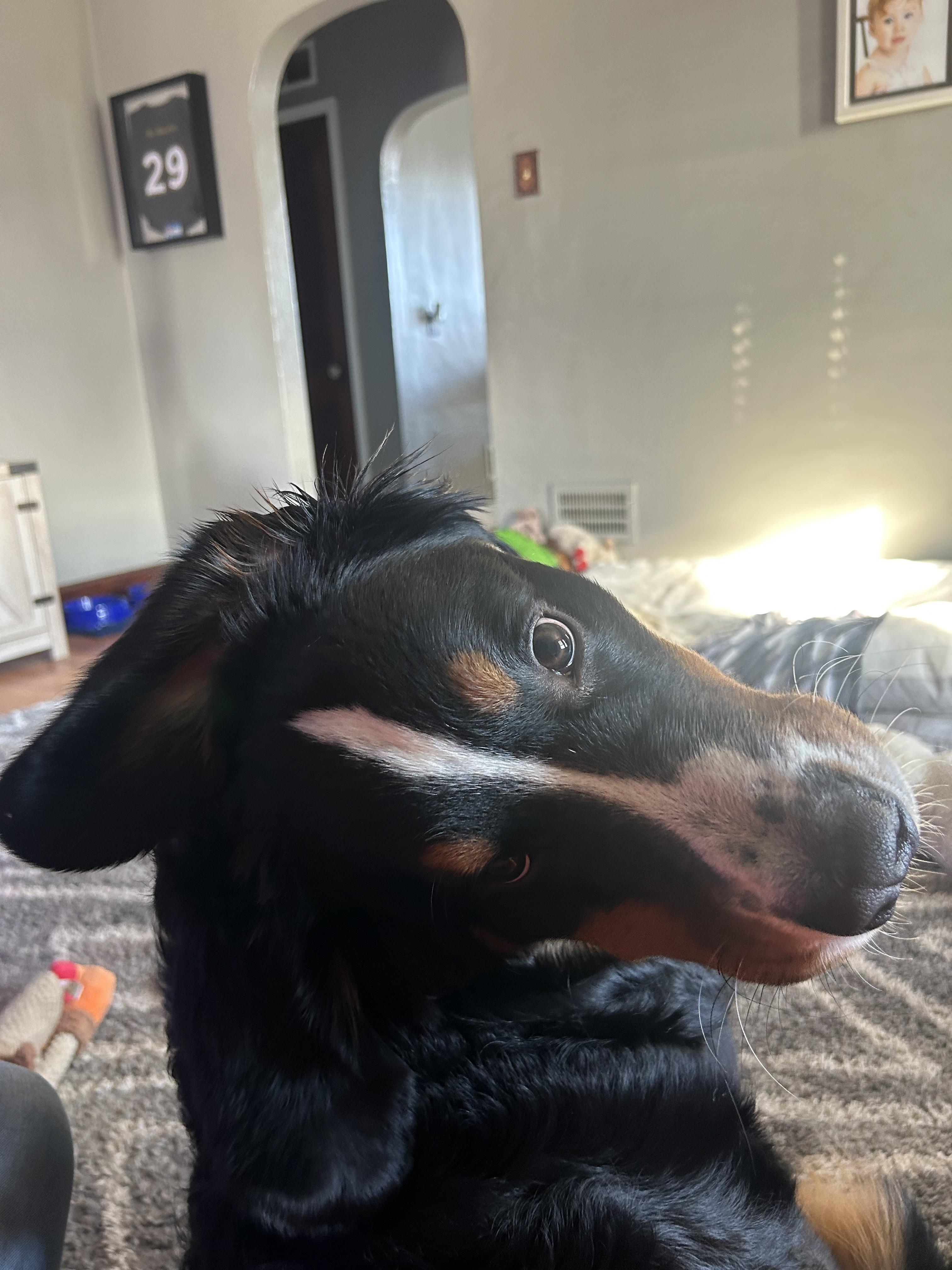 Goofball | Scrolller