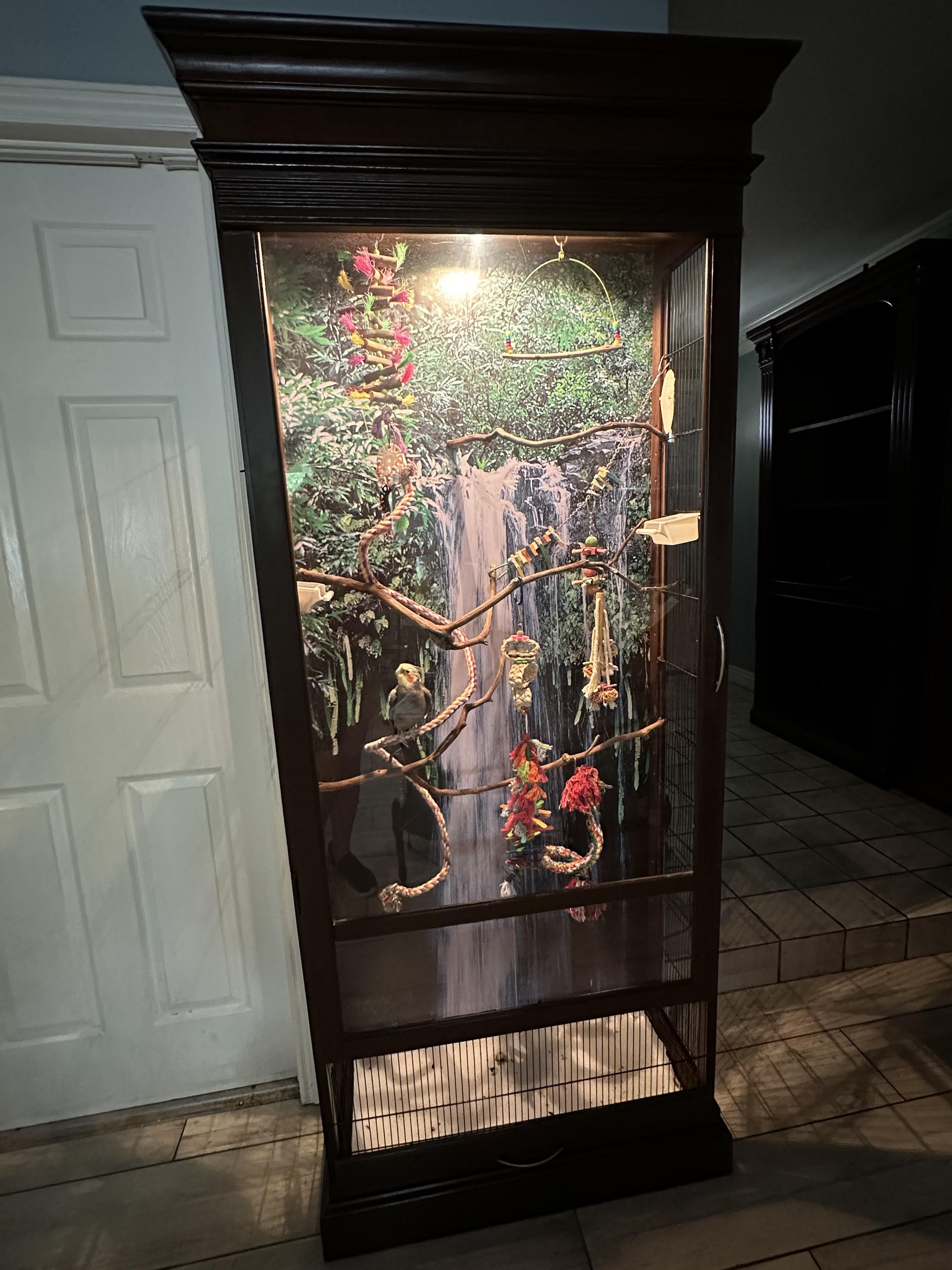 I thought I would share my brand new cages with the world!! | Scrolller