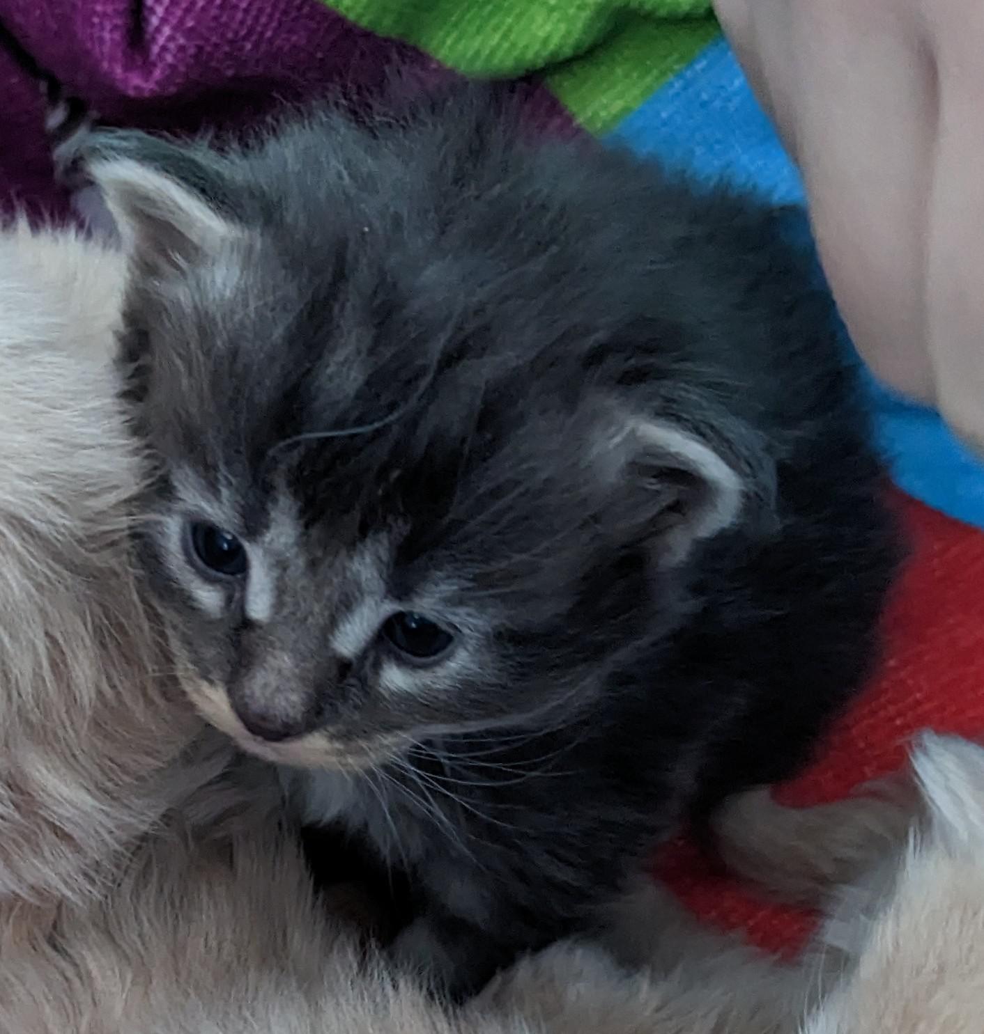 Countdown is on | Scrolller