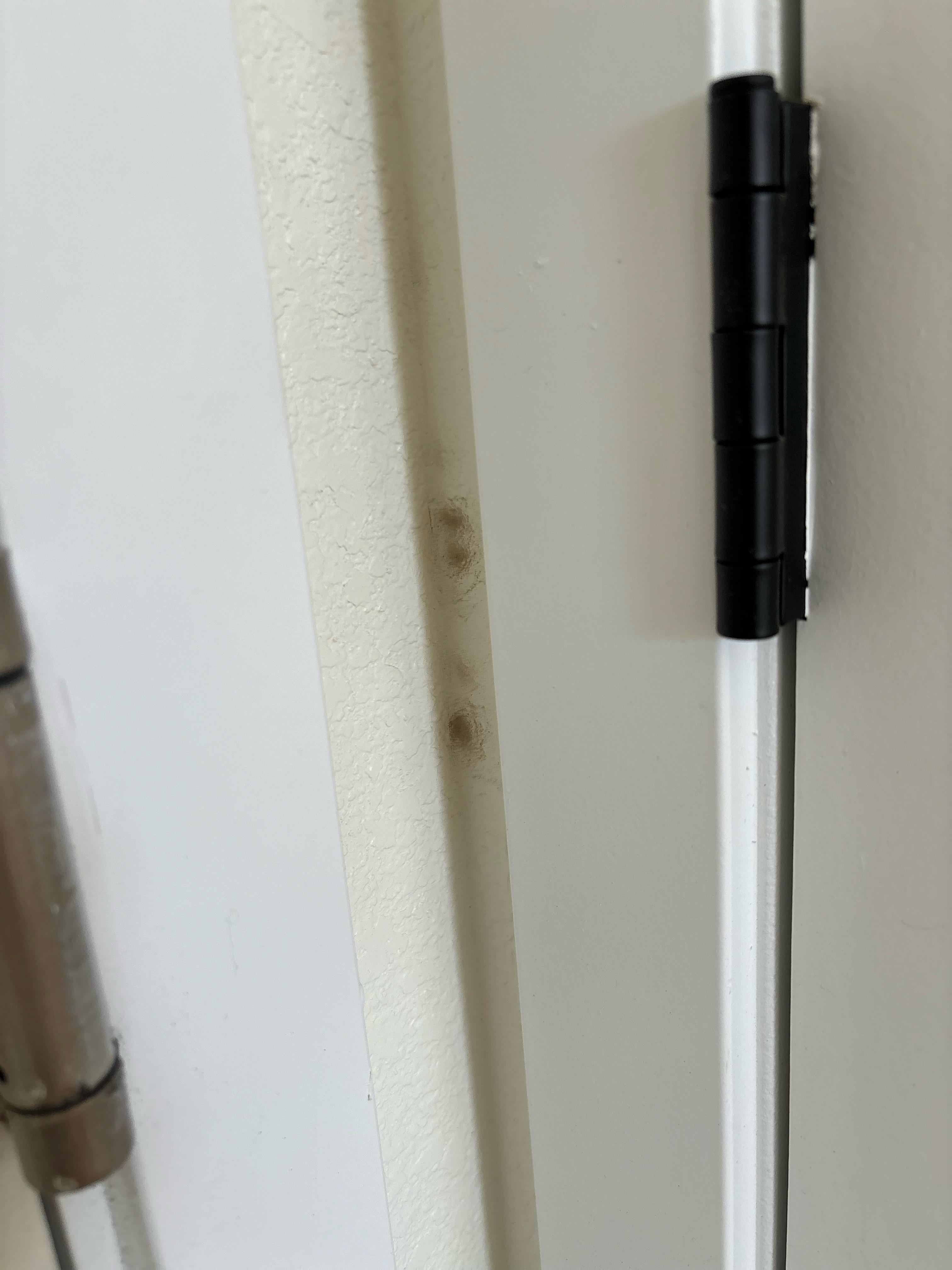 What are these very fine dust mounds? | Scrolller