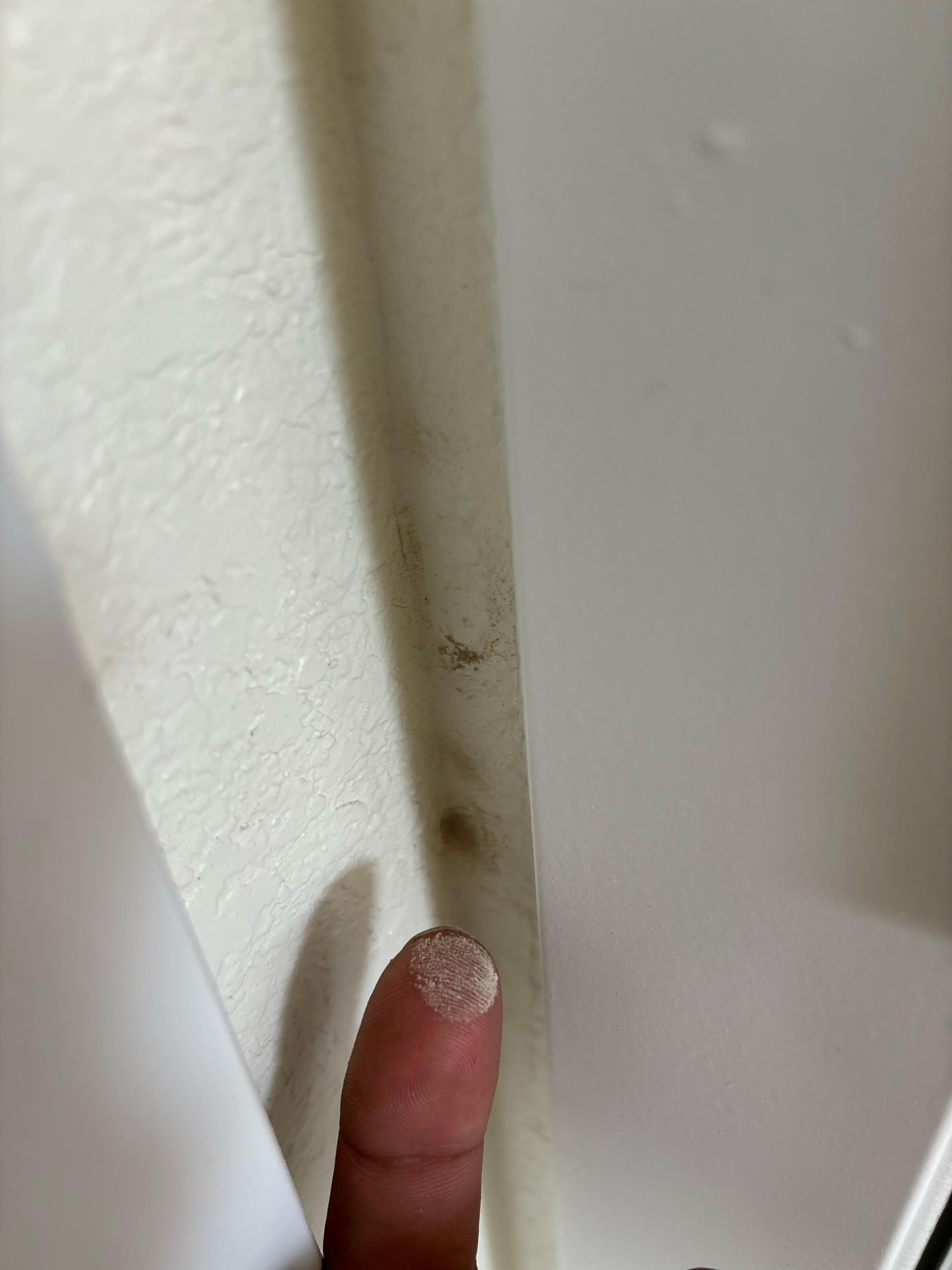 What are these very fine dust mounds? | Scrolller