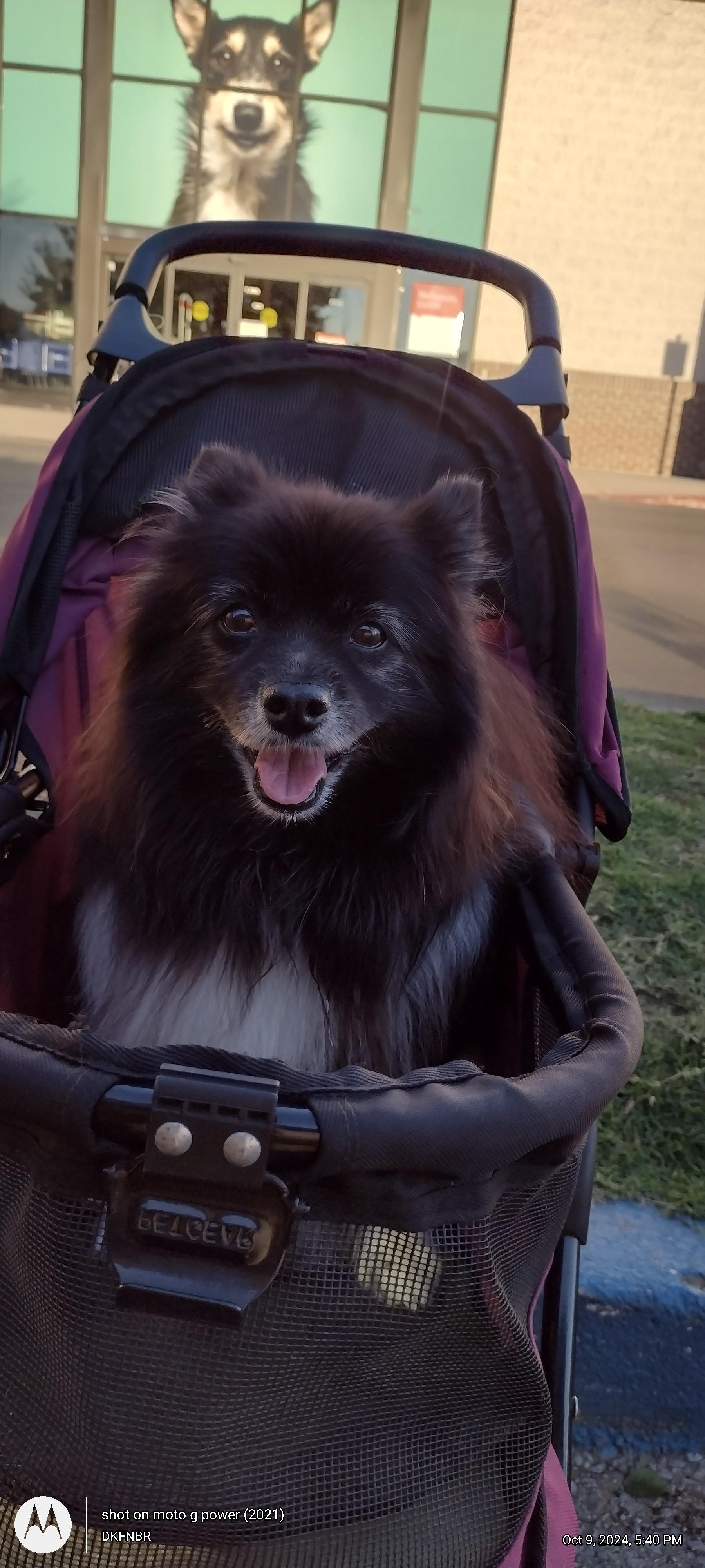 38 days of crying | Scrolller