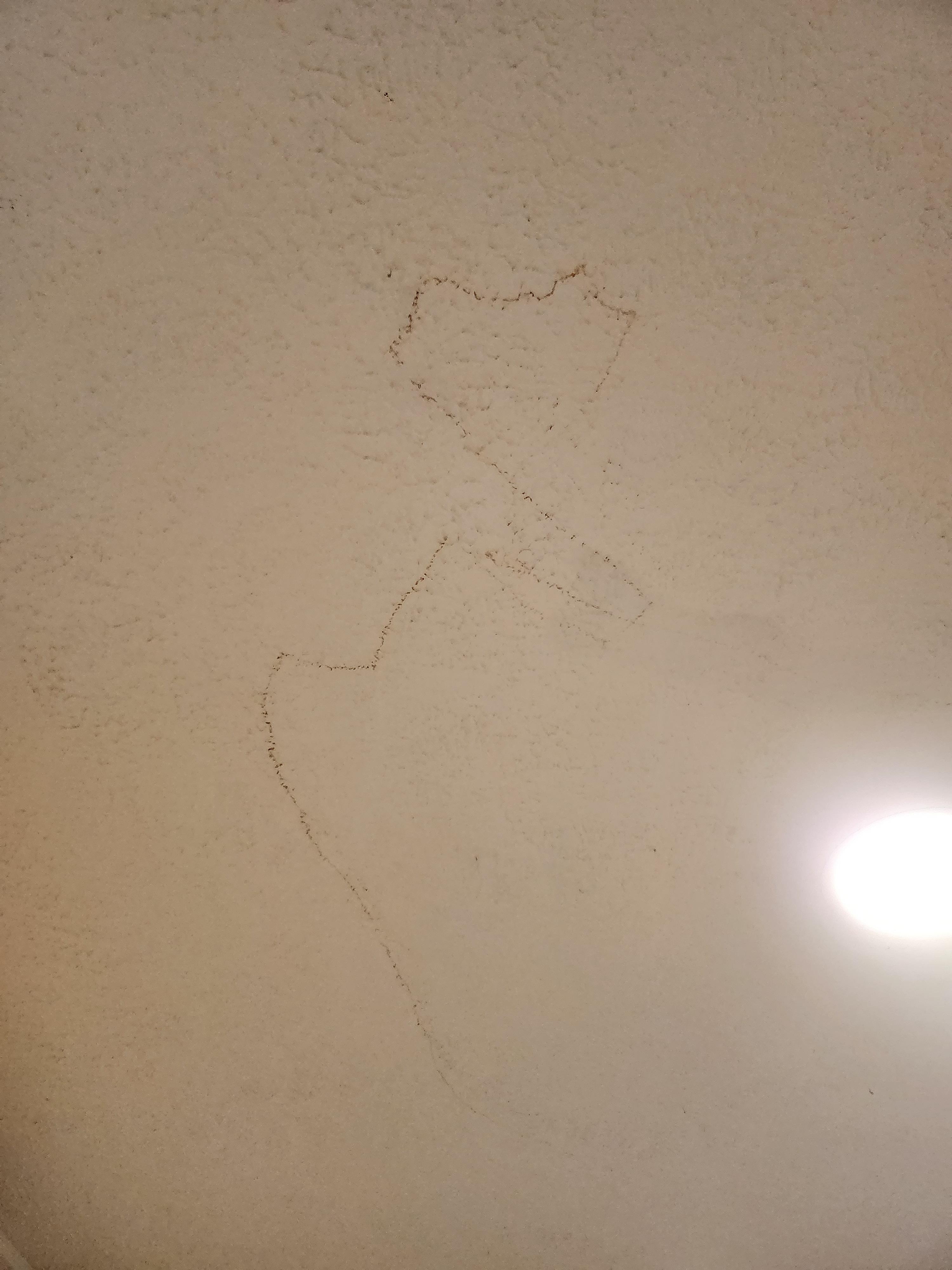 Stain on ceiling. Can't figure out what this is. | Scrolller