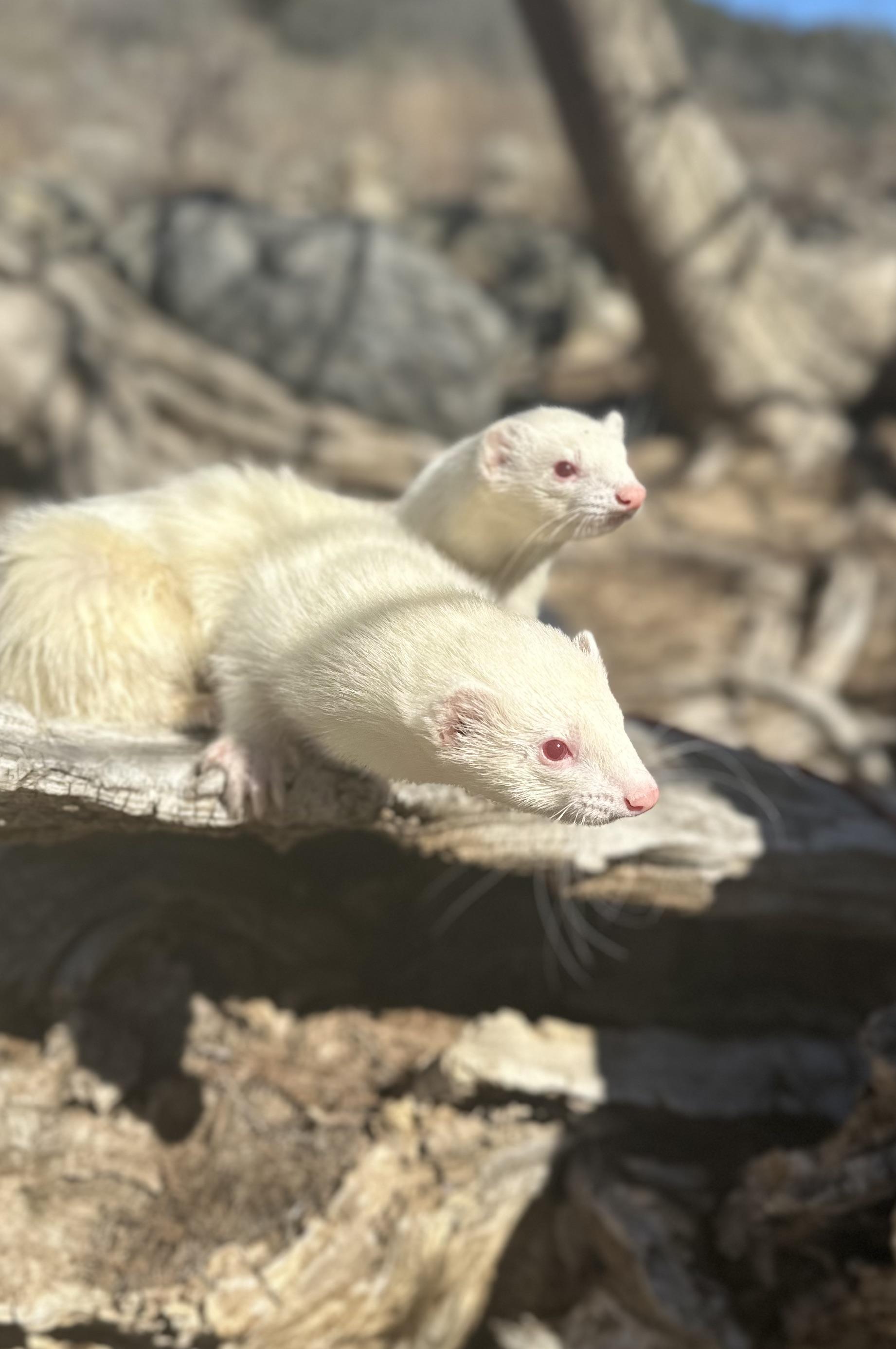 Photo dump | Scrolller