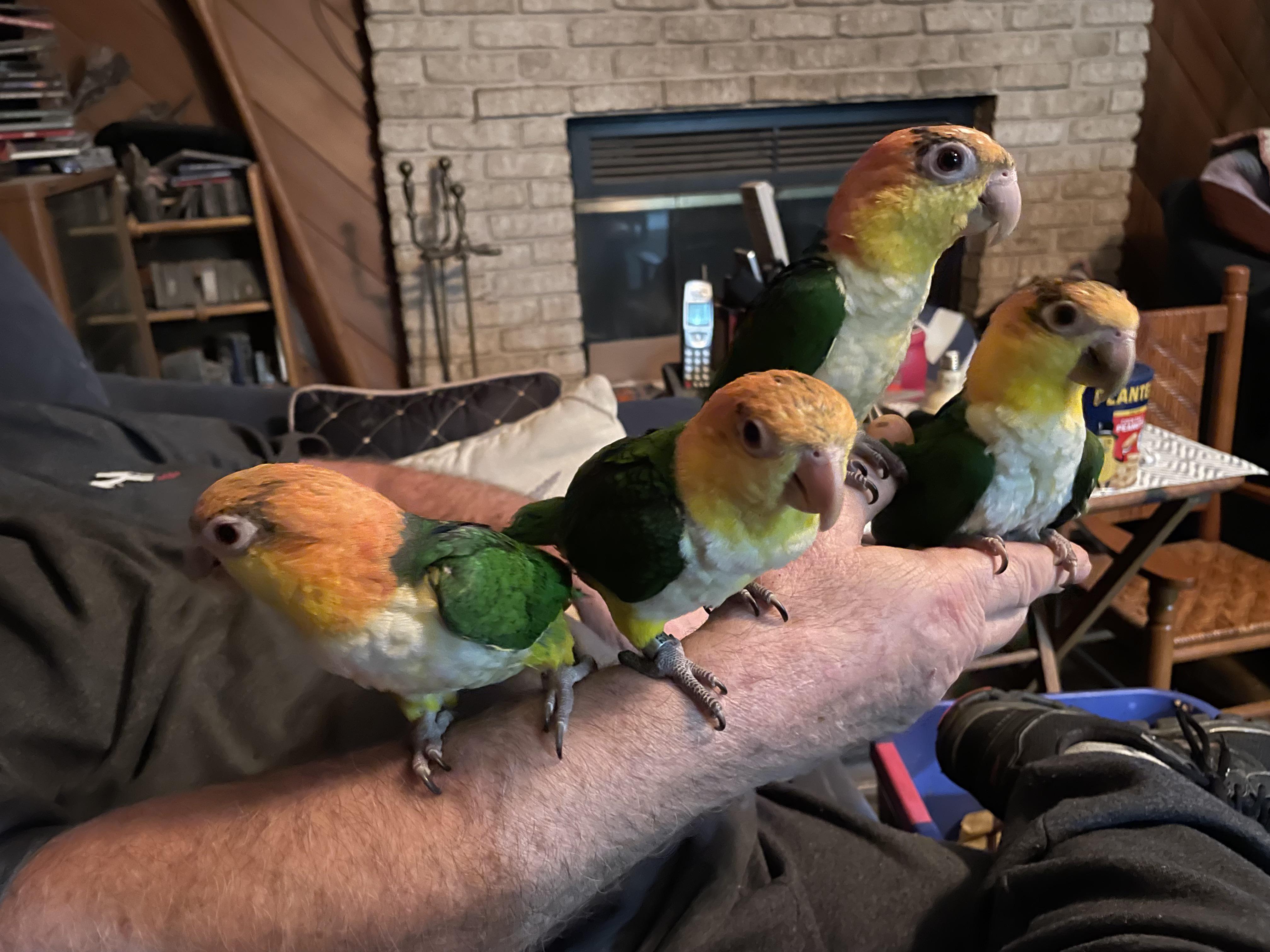 My dad and his crew. | Scrolller