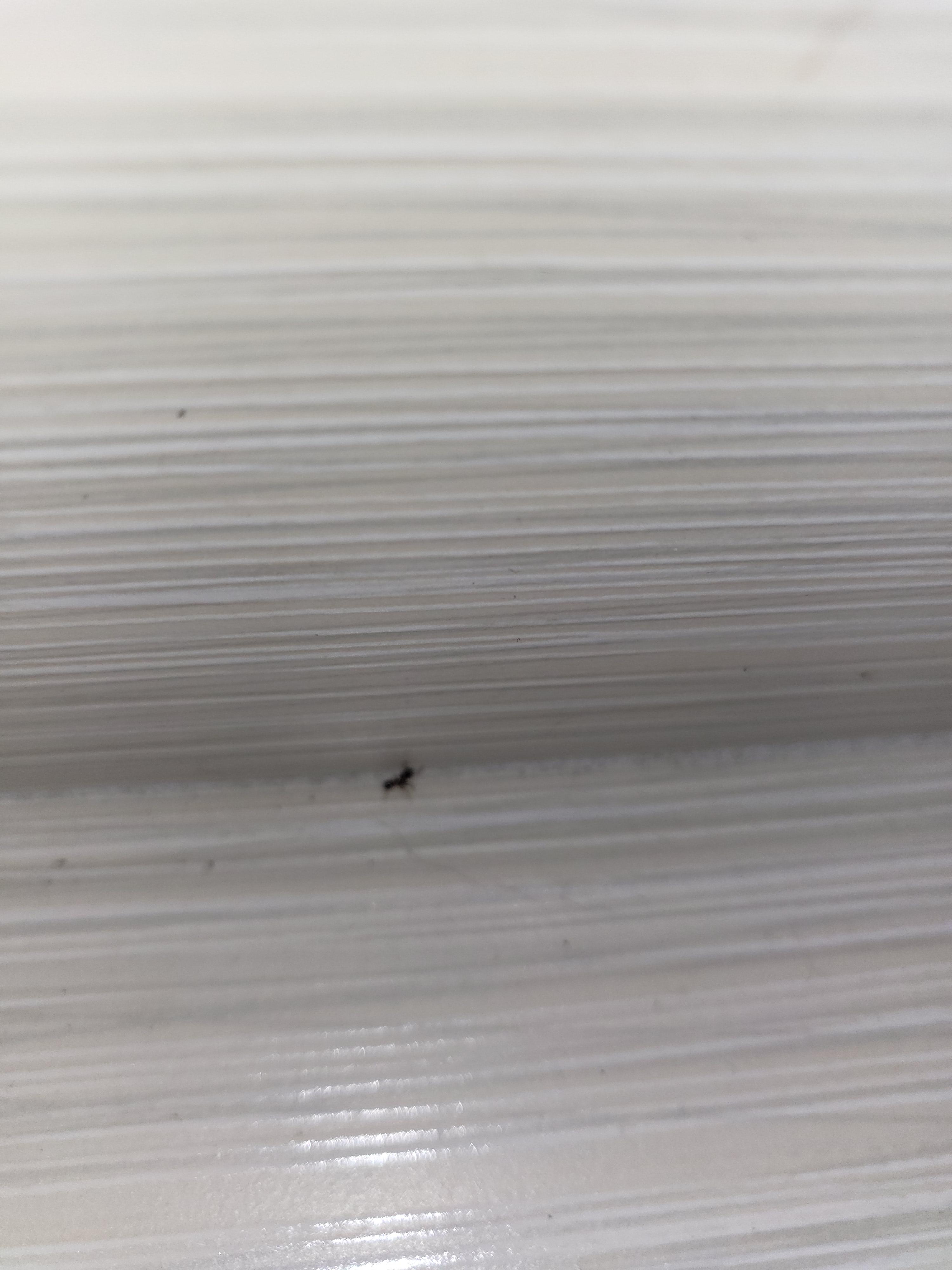 Mystery droppings | Scrolller