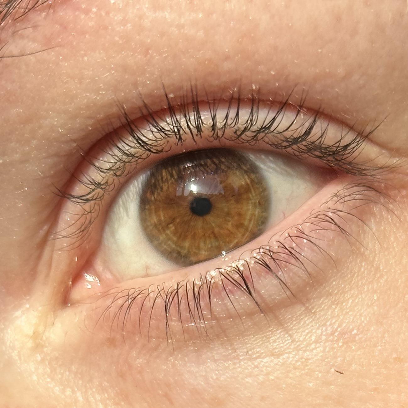 Hazel or brown..? | Scrolller