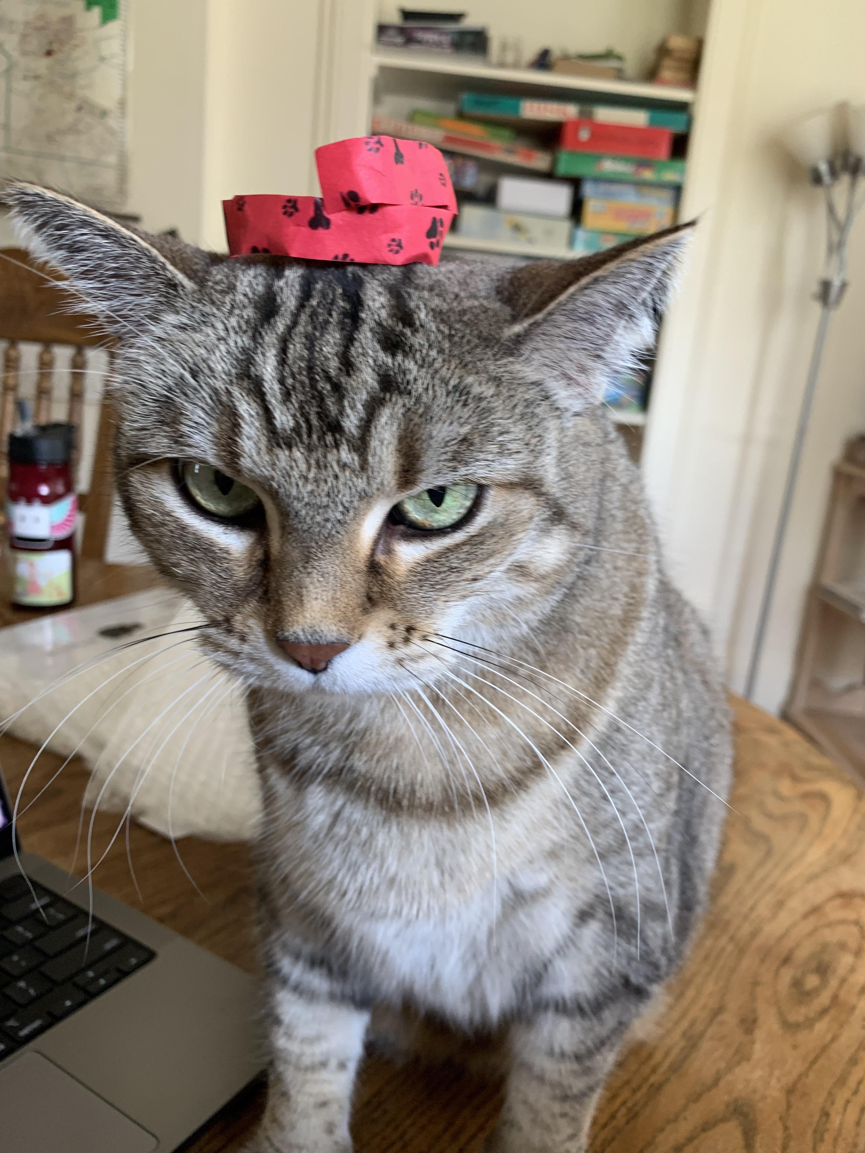 She secretly loves it | Scrolller