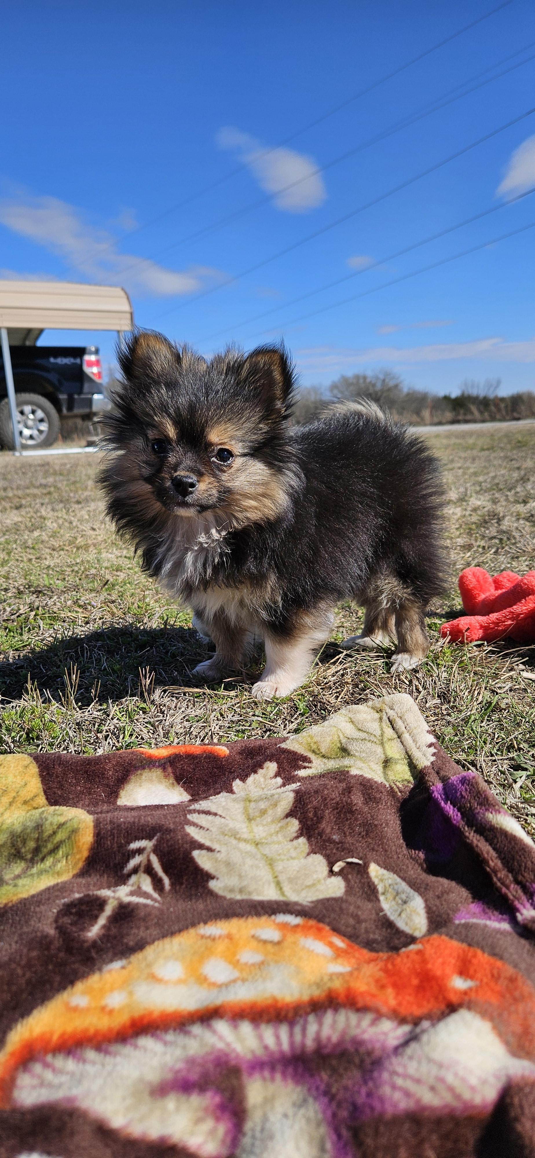 Tuna Stu | Scrolller