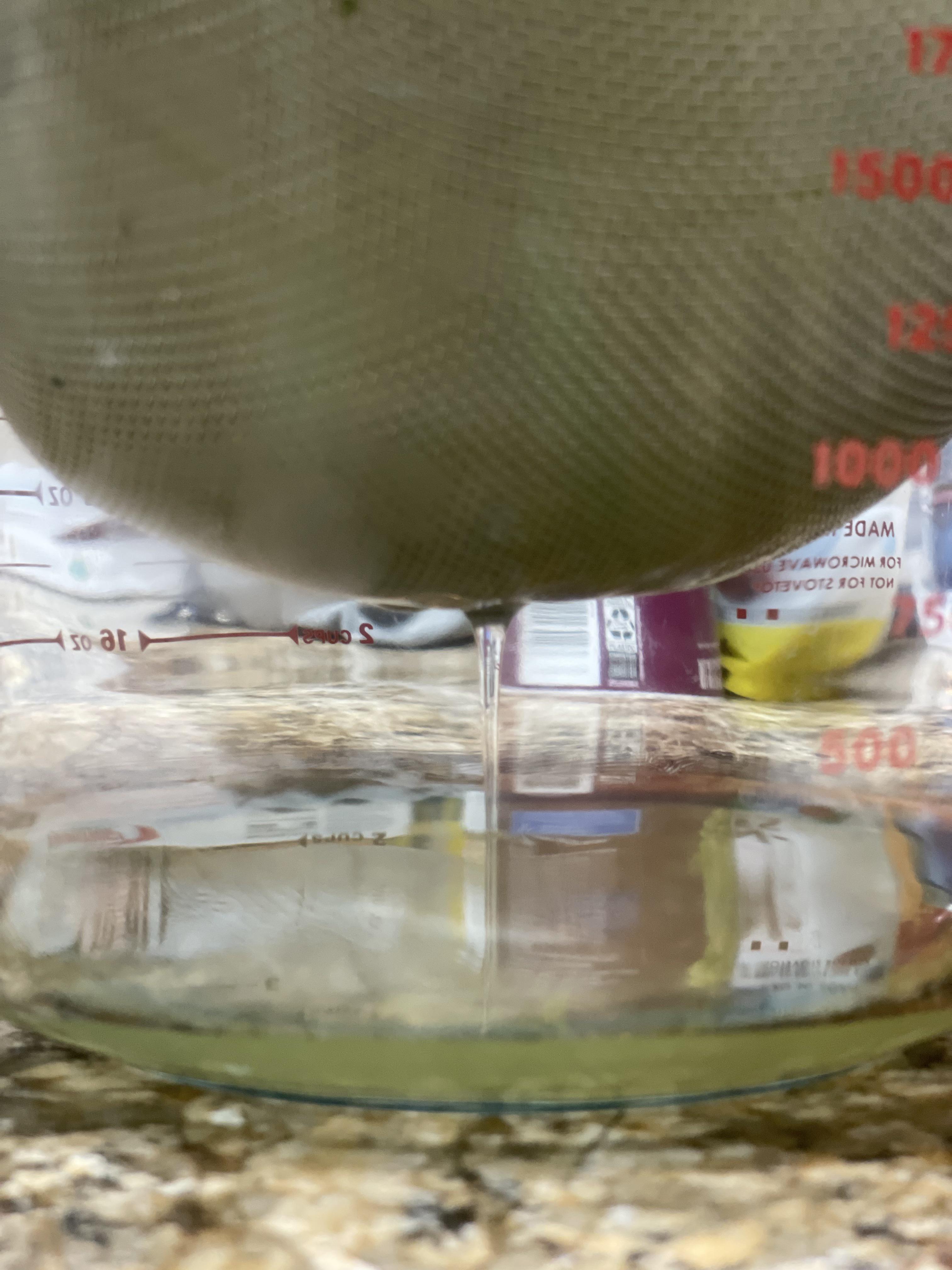 Clarified Cucumber Gimlet | Scrolller