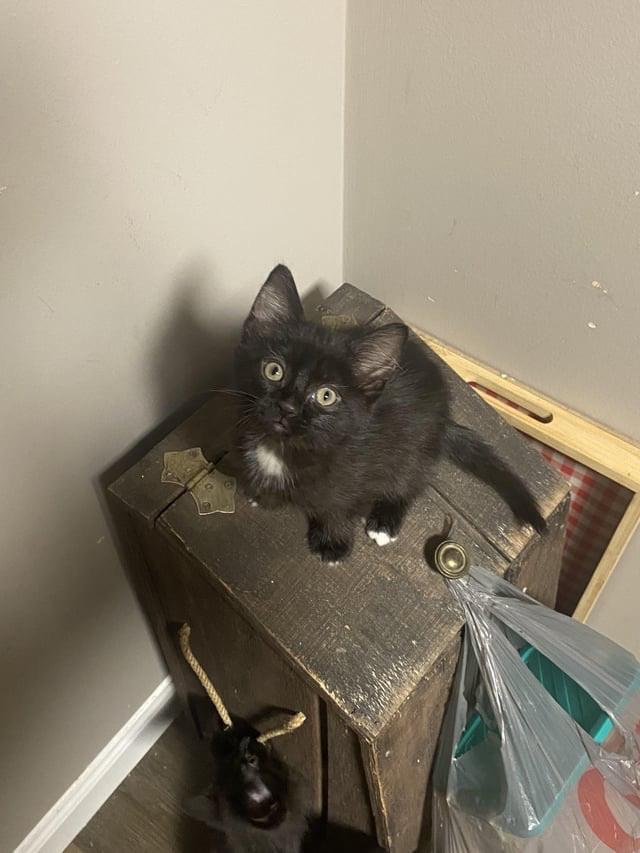 Baby void | Scrolller