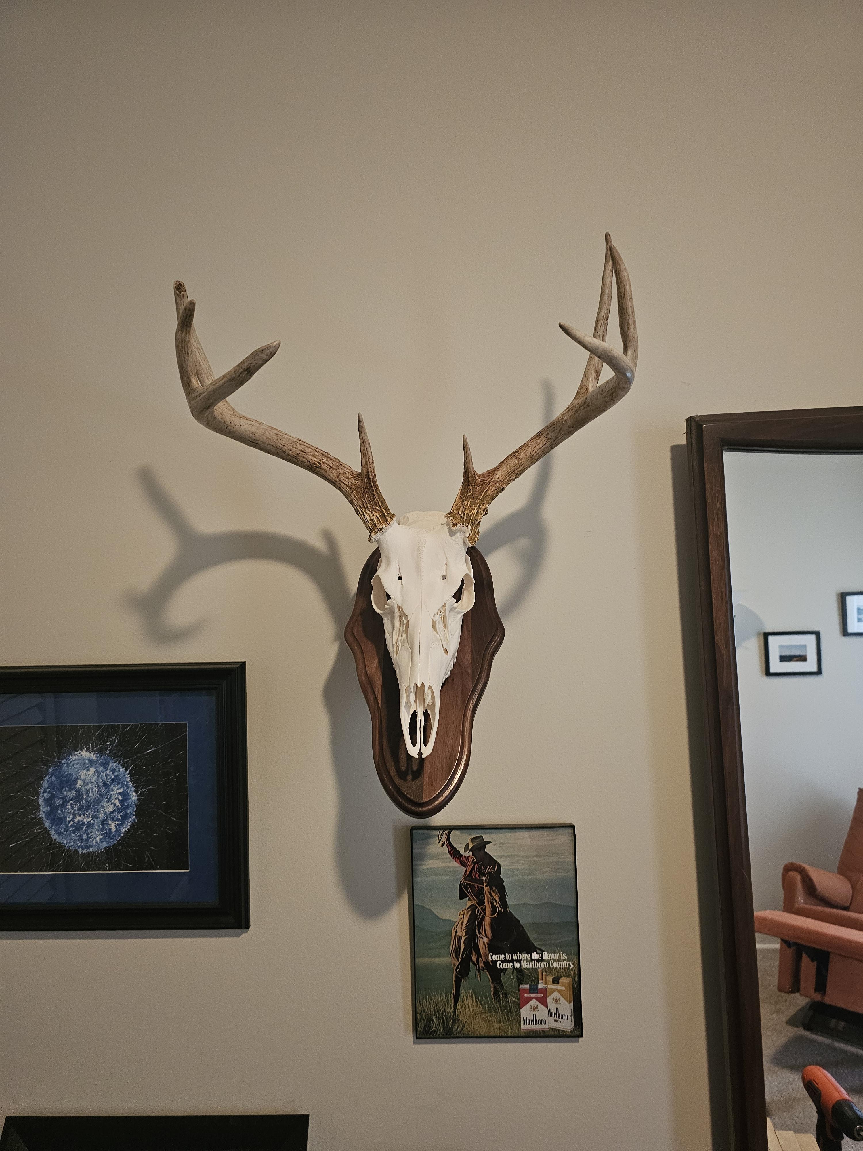 2023 Euro - Whitetail - 30-06 | Scrolller