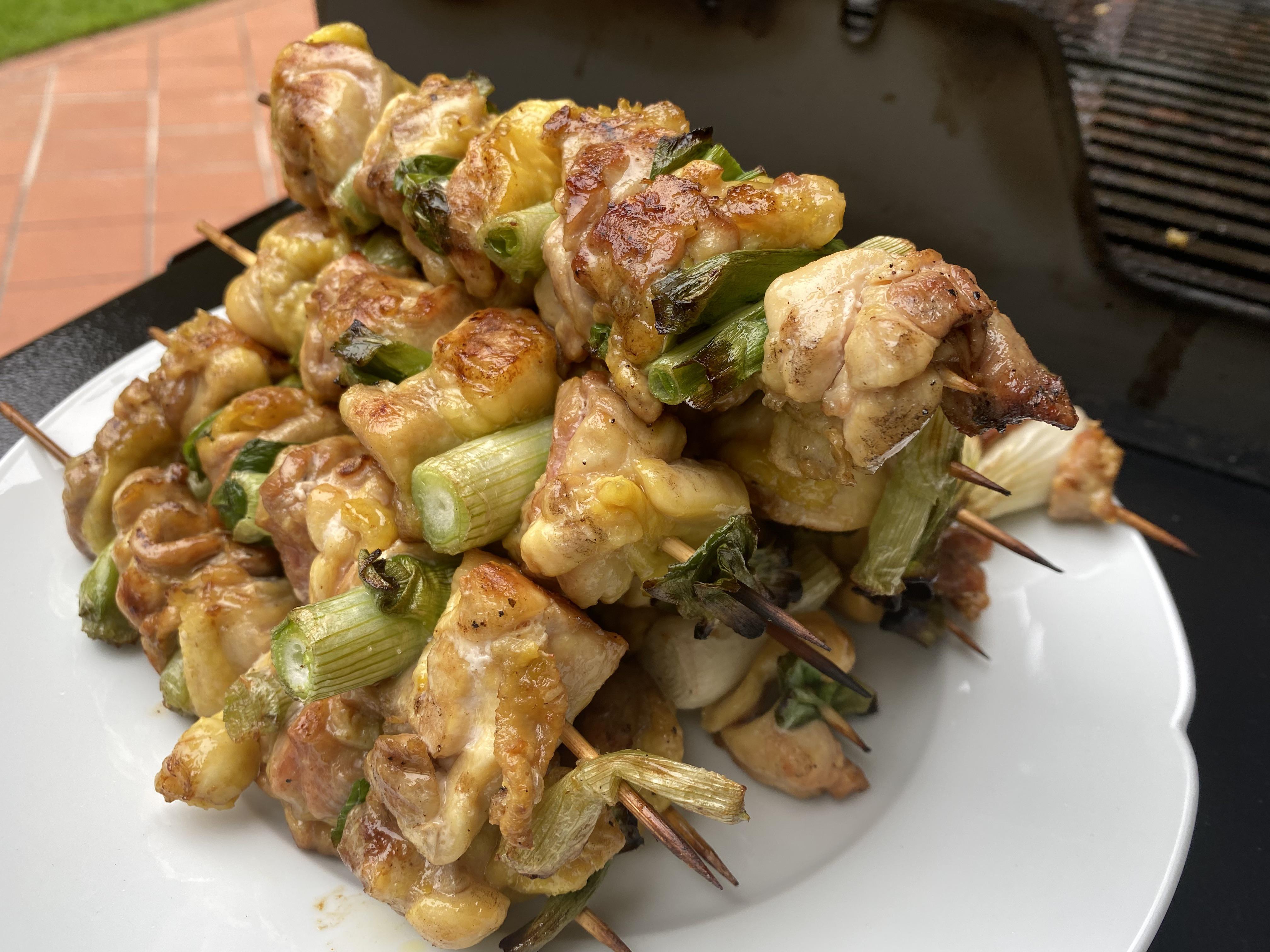 [homemade] Yakitori chicken, chicken thighs, no bone and with skin, salt, oil and spring onion ...