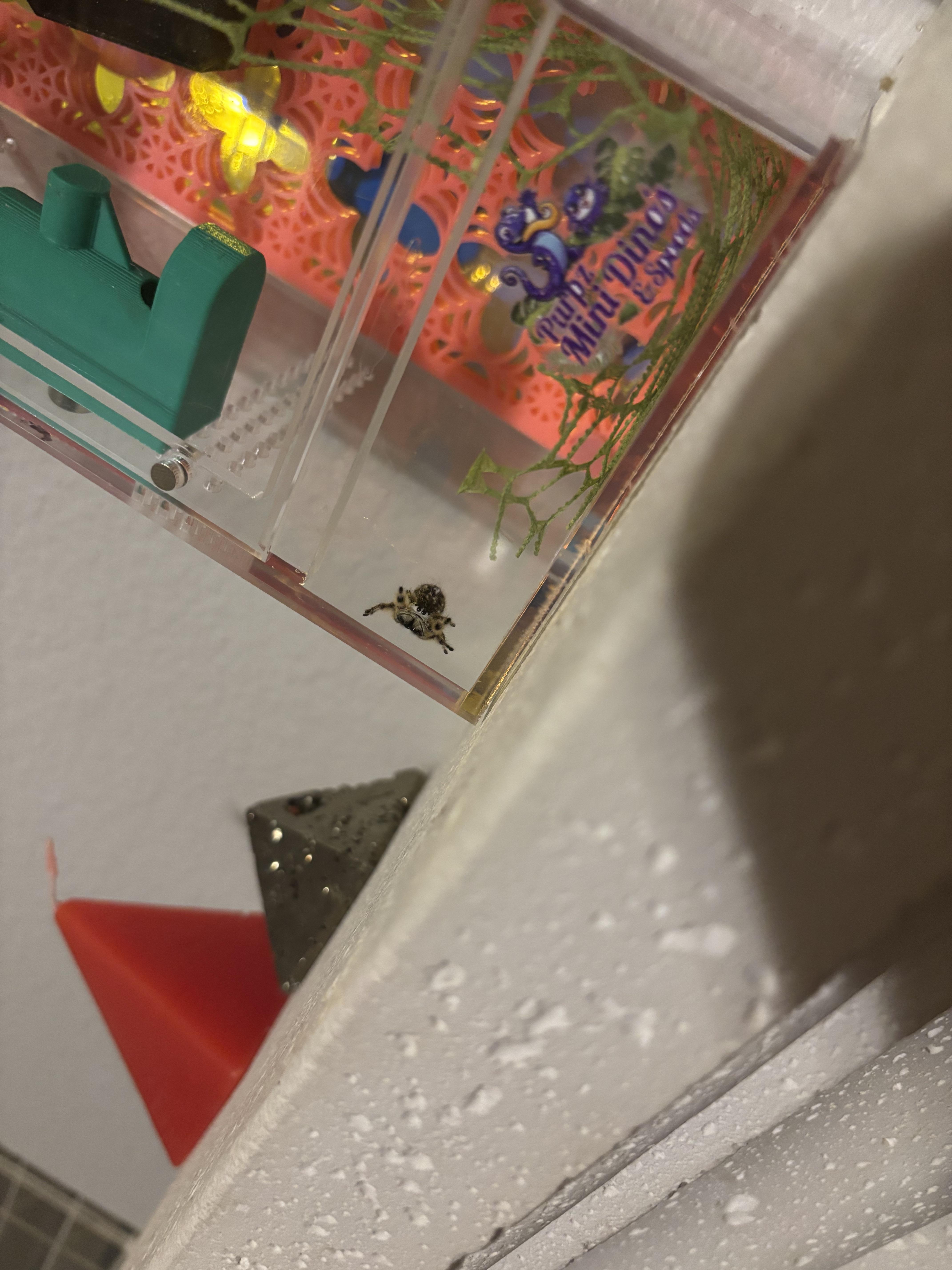 Little beans | Scrolller