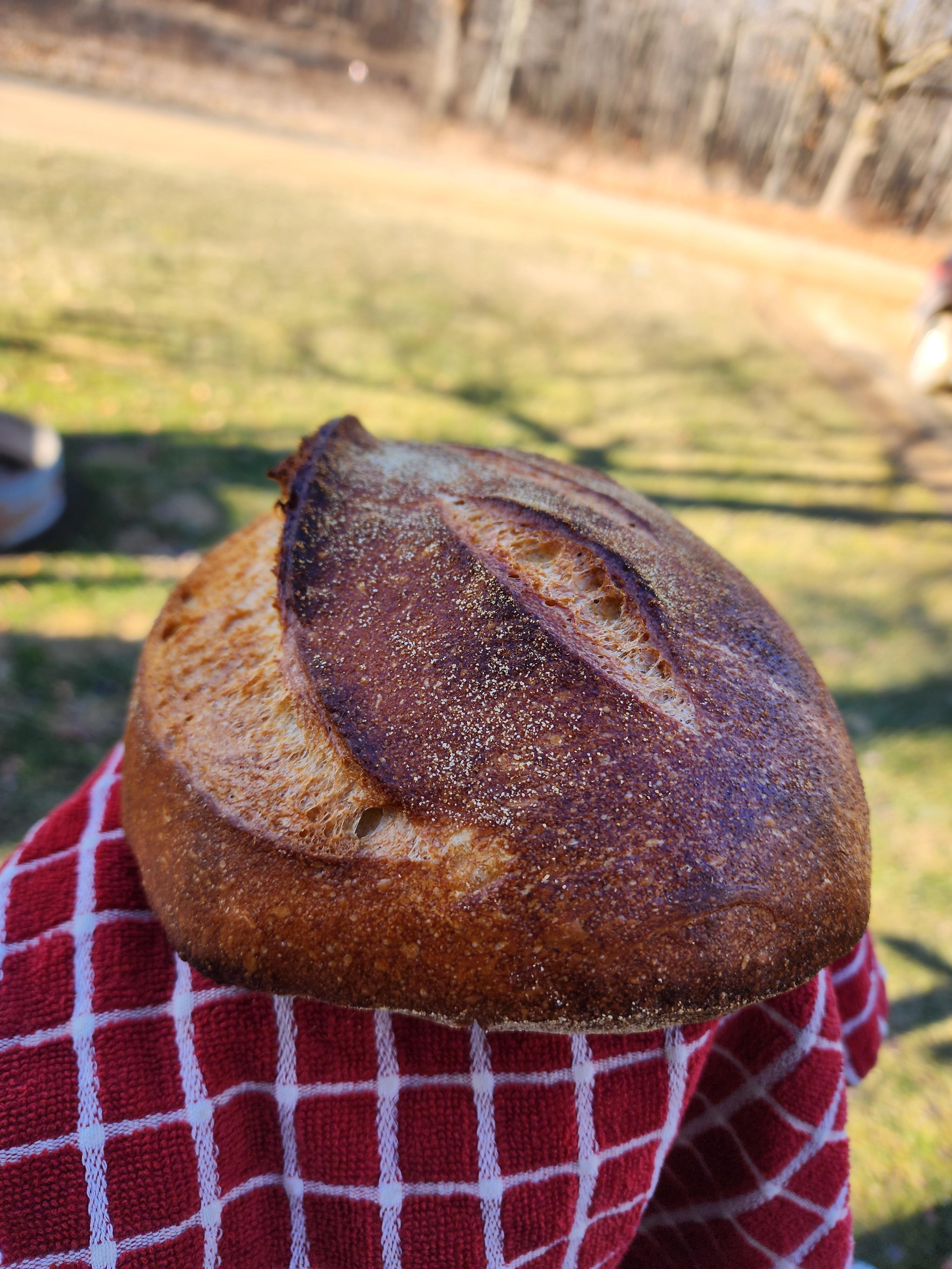 [Homemade] bread | Scrolller