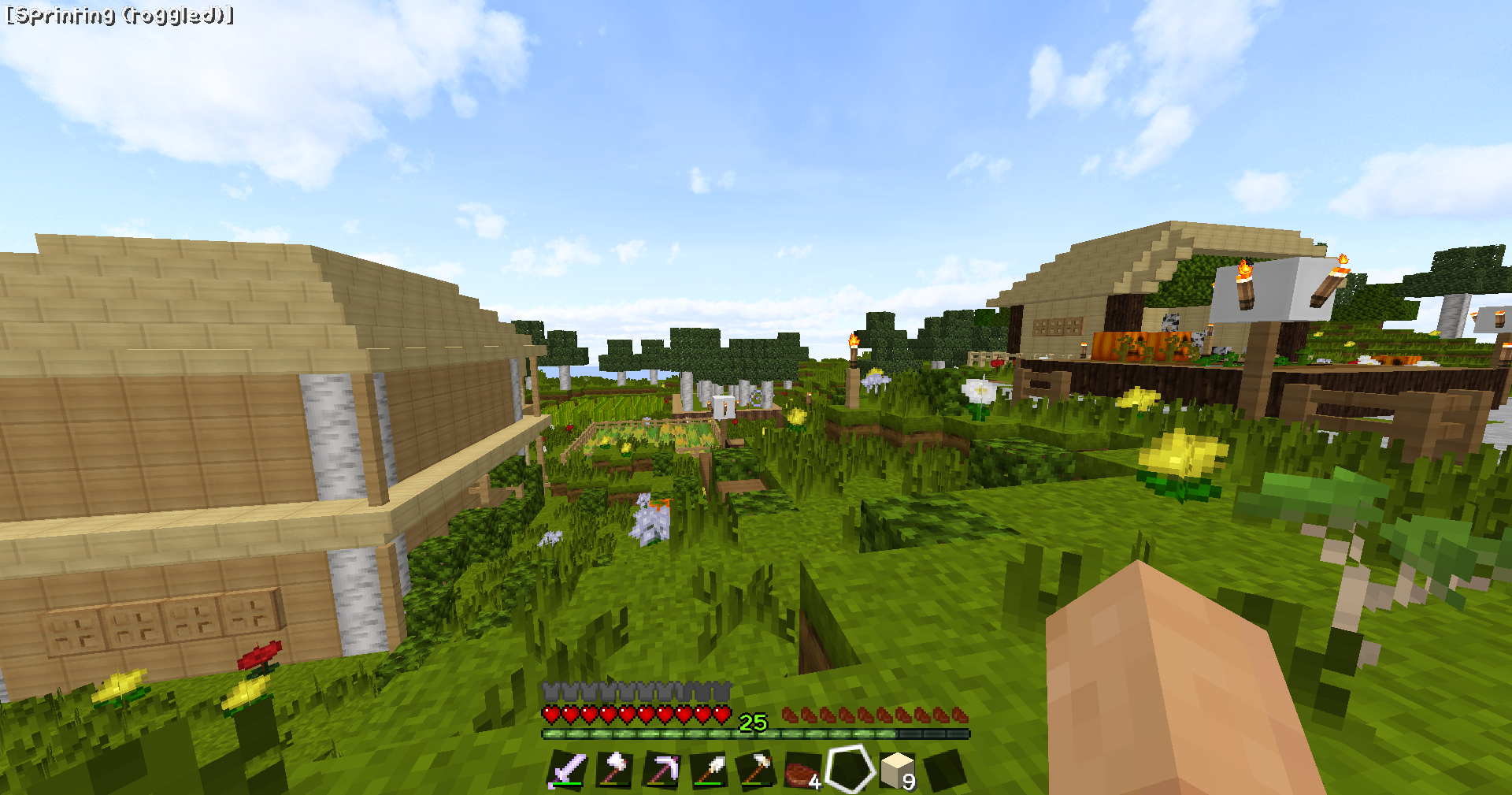 My 16x Resource Pack vs Default (1.8.9) | Scrolller