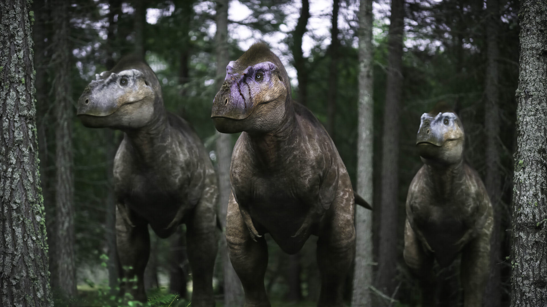 WORLD-FIRST LOOK at Walking With Dinosaurs 2025!!! | Scrolller