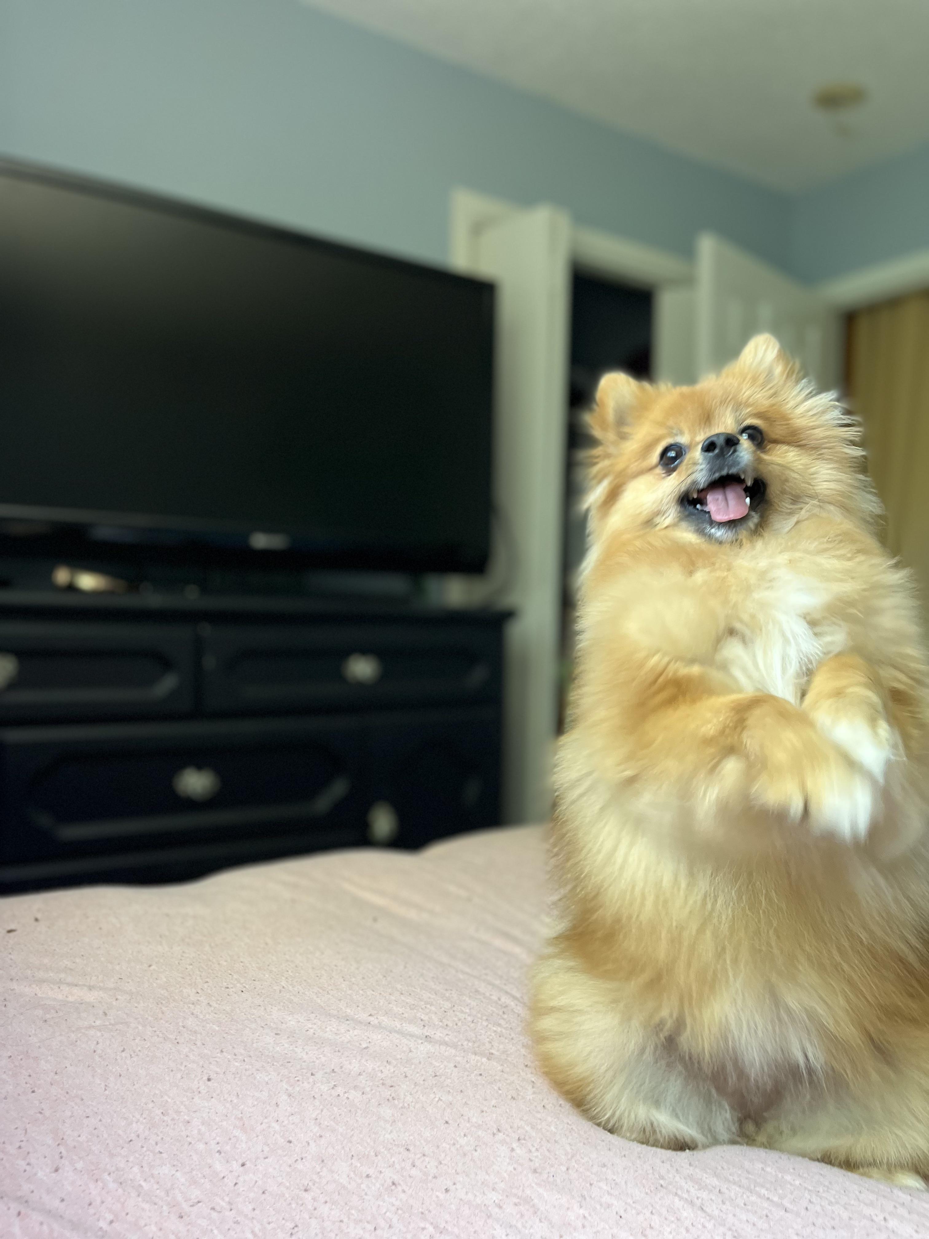 Hello friends | Scrolller