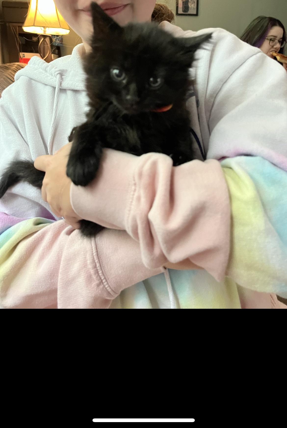 New void salem! | Scrolller