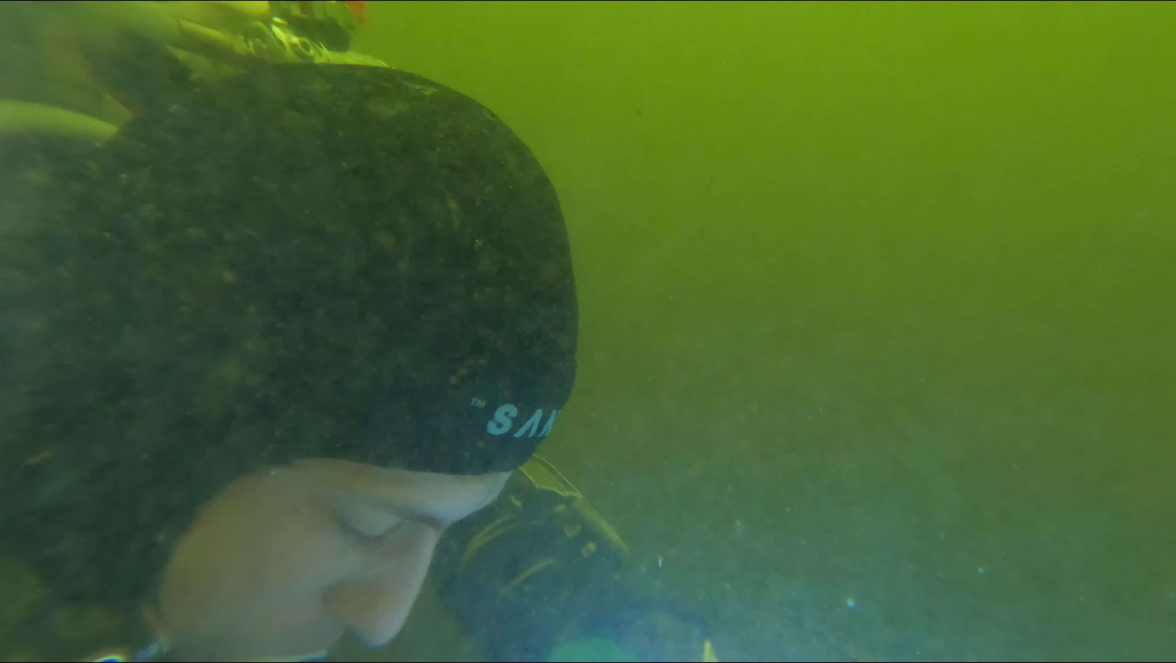 I love diving/practicing in tropical water! | Scrolller