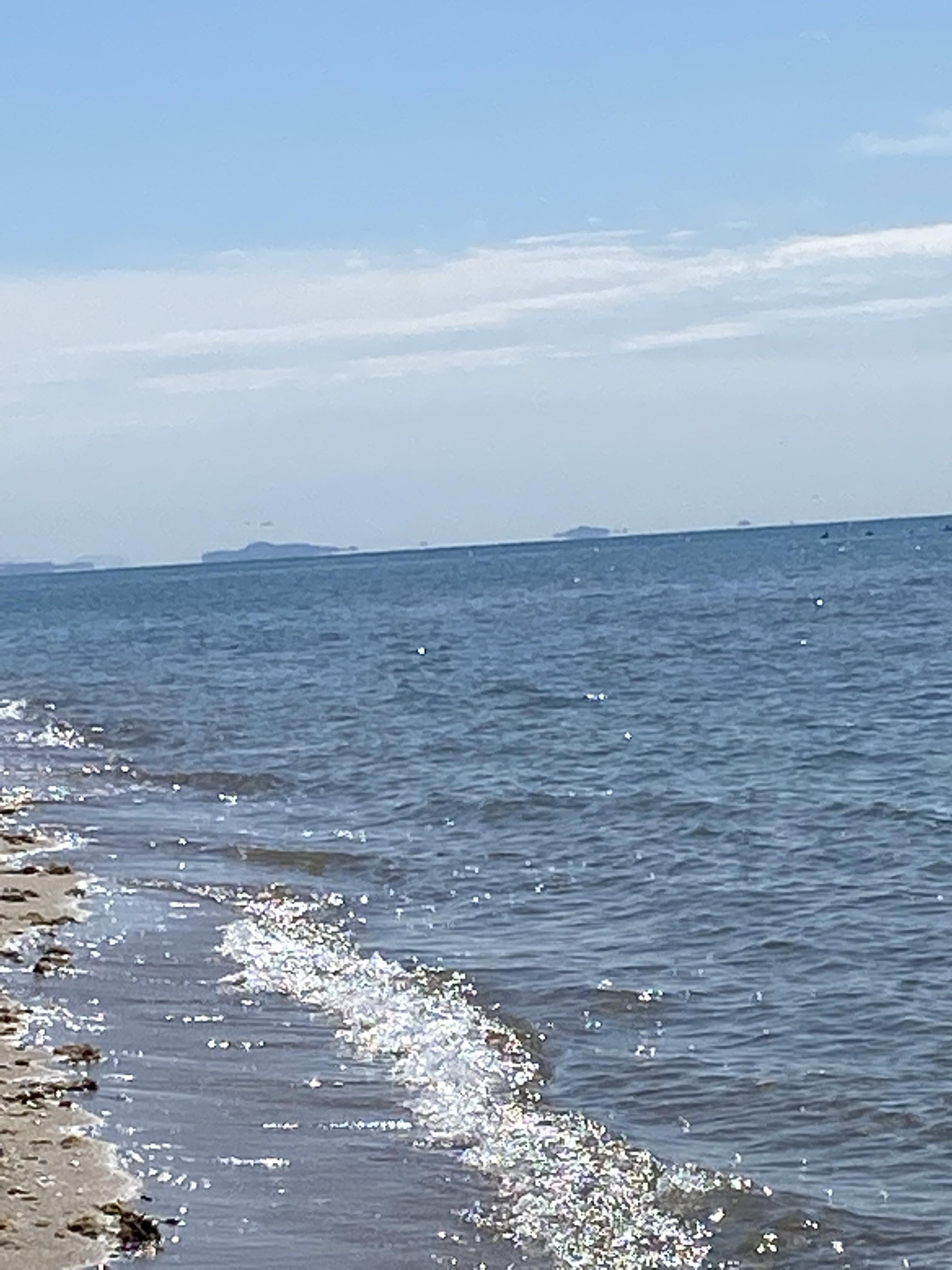 Liminal beach/floating islands in Rocky Point, Mexico. | Scrolller