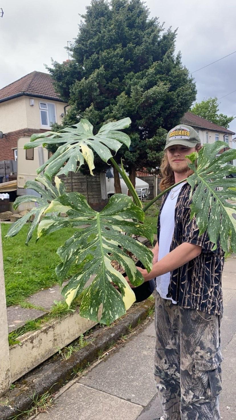 3 Months of growth | Scrolller