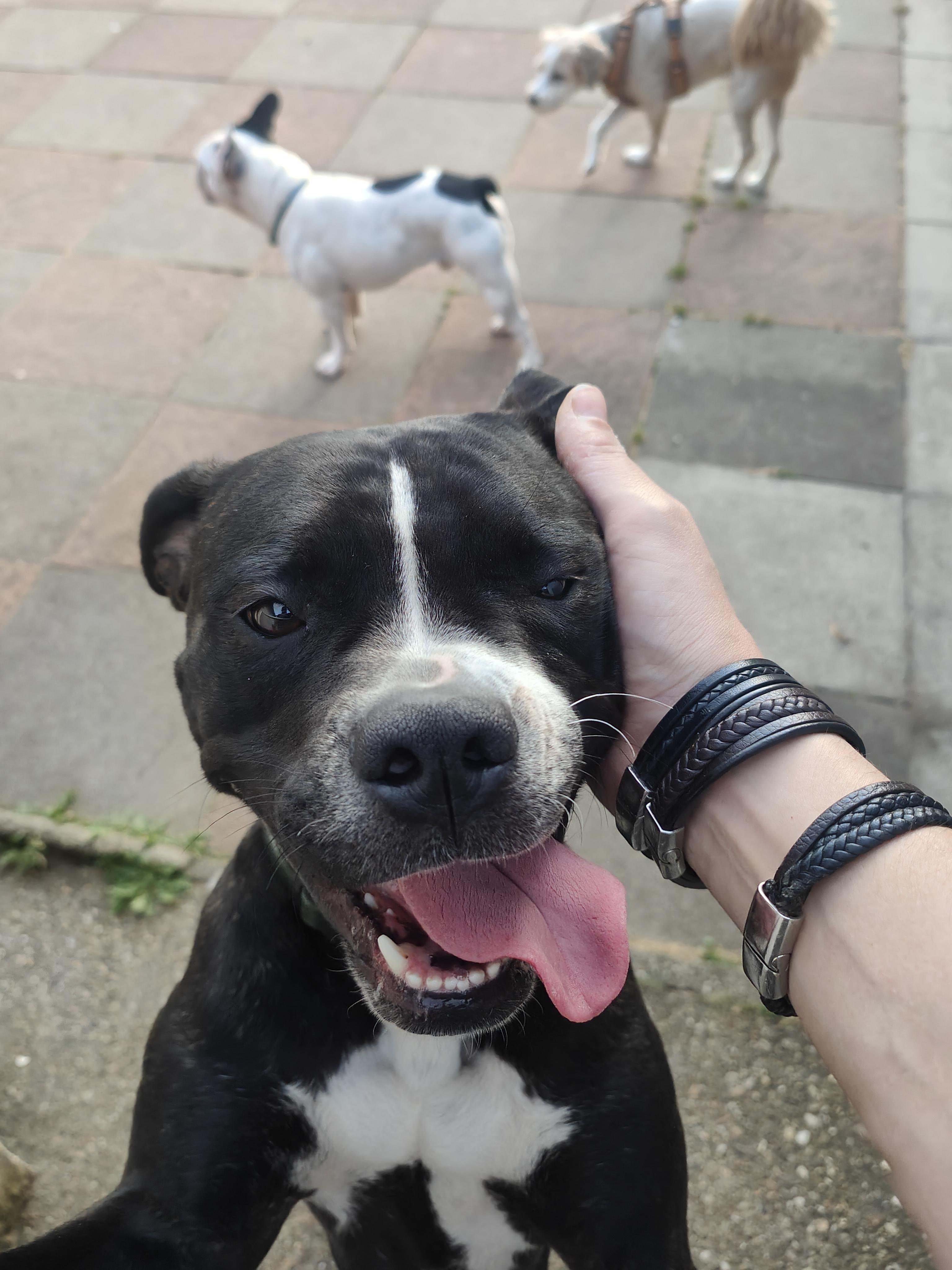 Meet Coco! | Scrolller