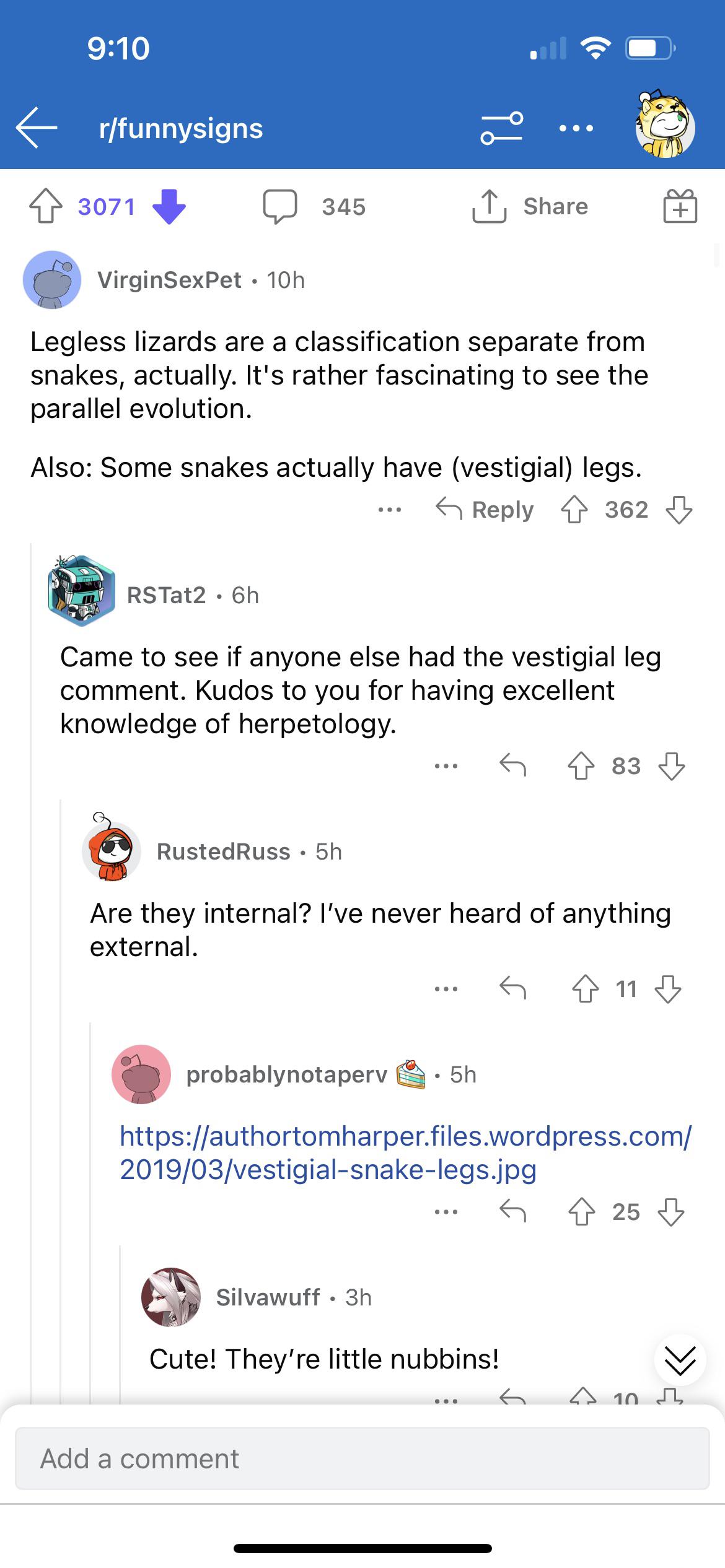 Op didn’t do research, didn’t know that legless lizards were different from snakes. | Scrolller