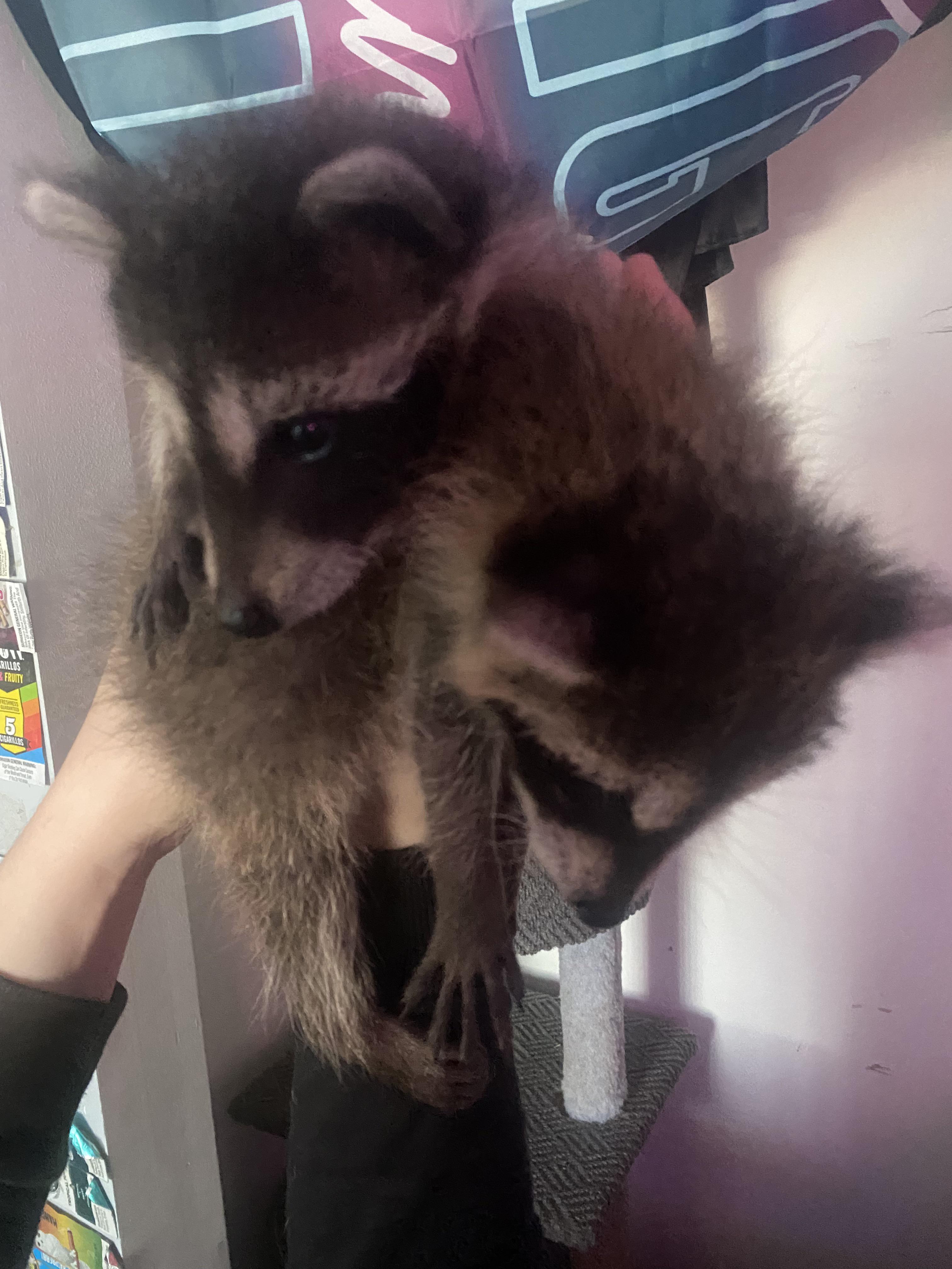 Back when they were tiny | Scrolller