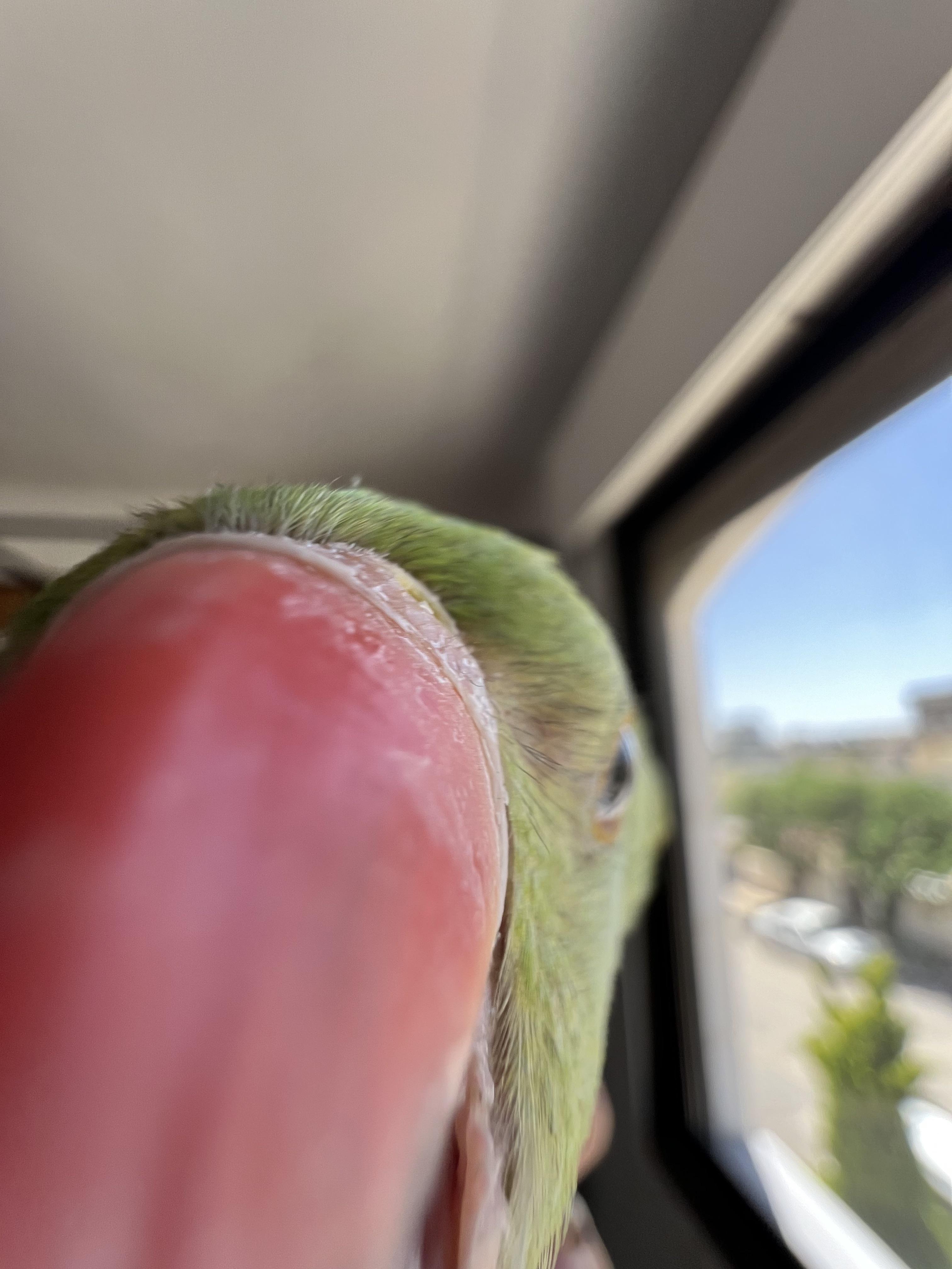 She’s a trouble maker | Scrolller