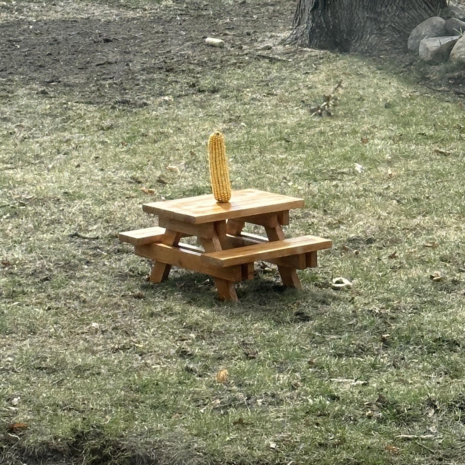 Success. | Scrolller