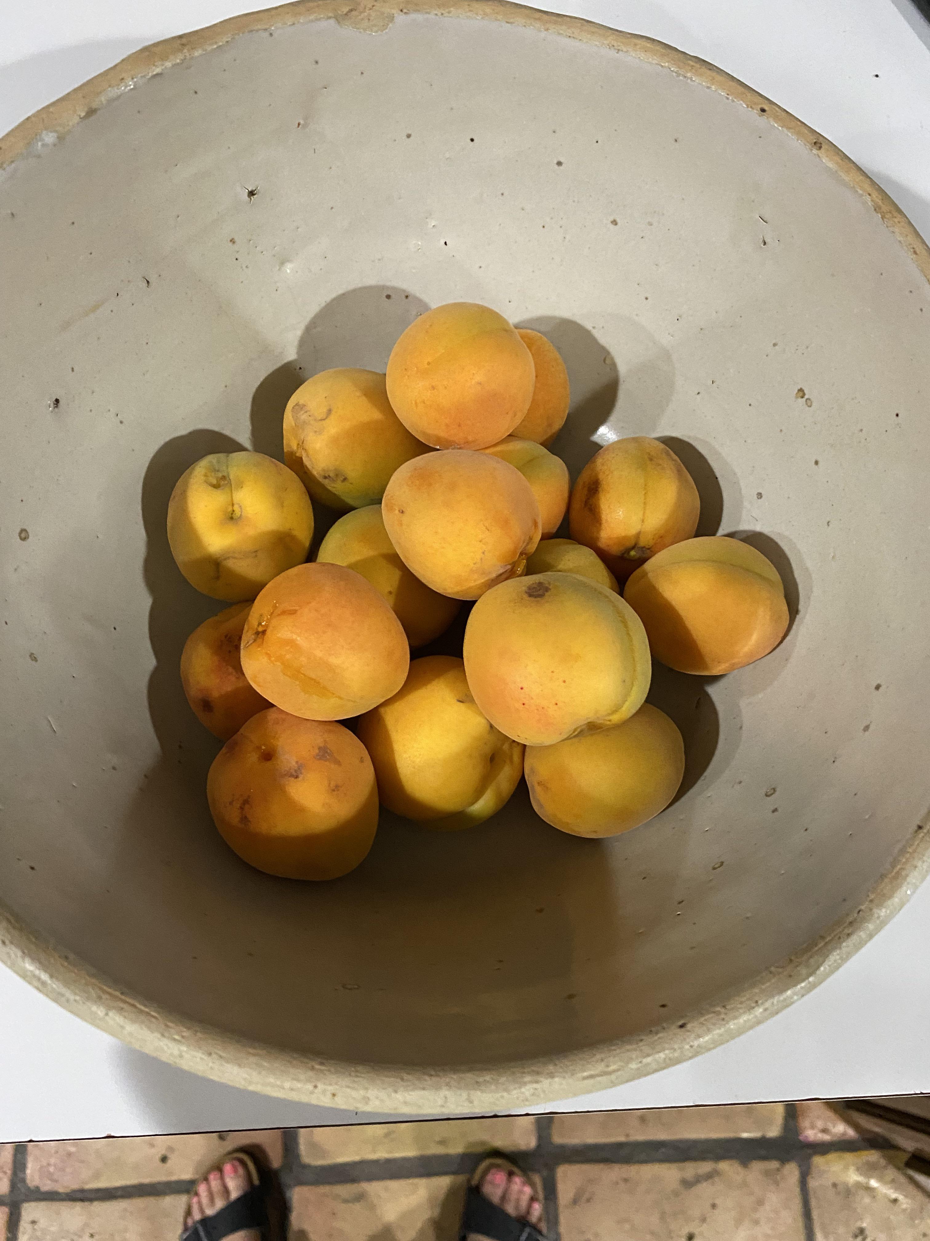 [Homemade] Apricot Jam | Scrolller