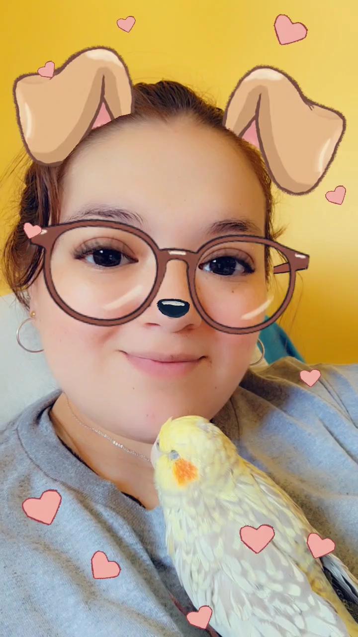 R.I.P. Lily | Scrolller