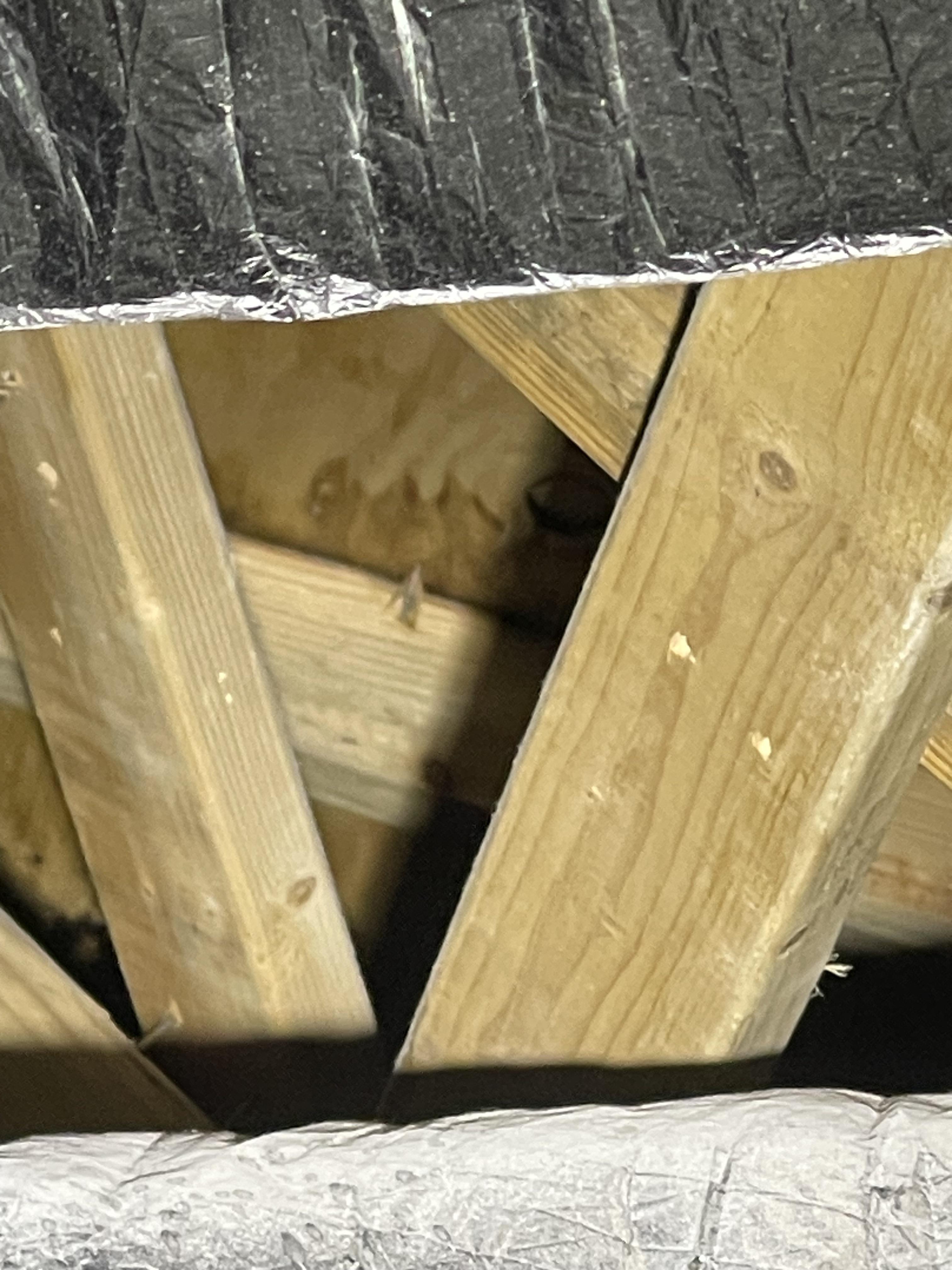 Roof Sheathing Water Damage? | Scrolller
