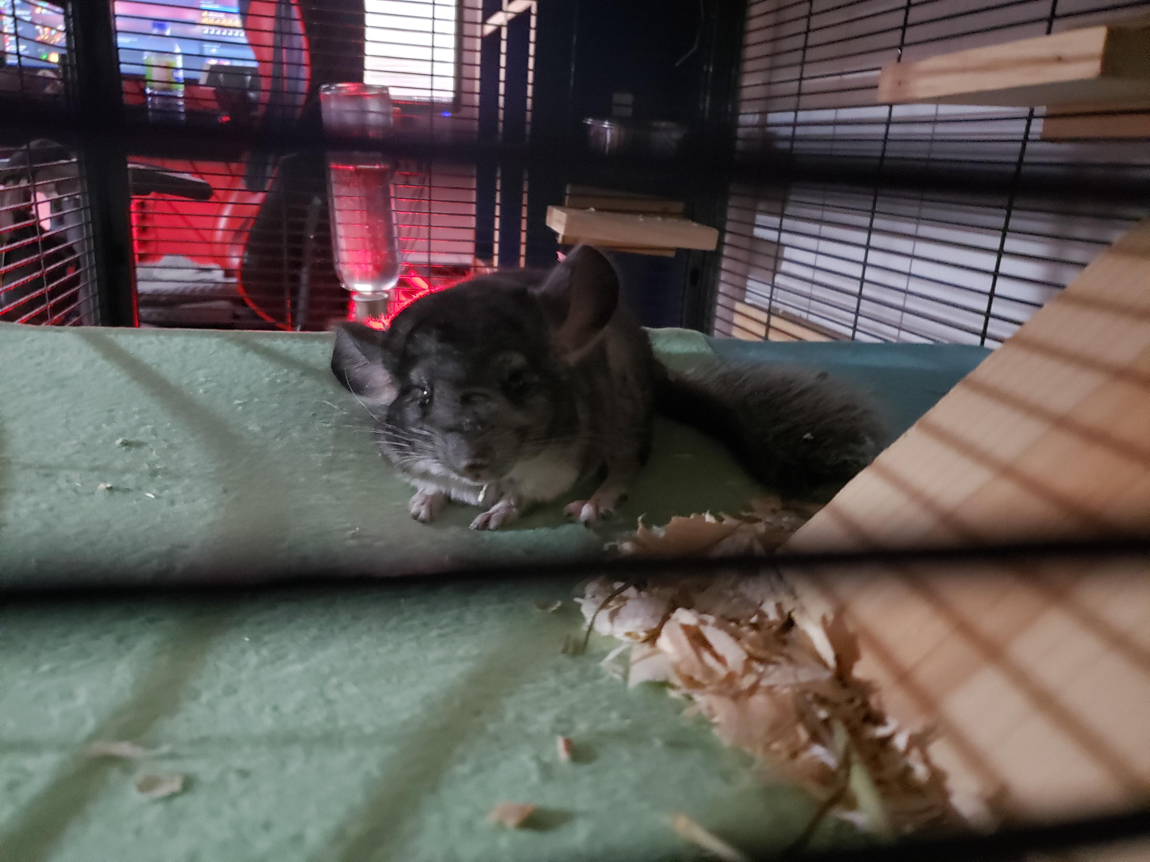 Behavior check! | Scrolller