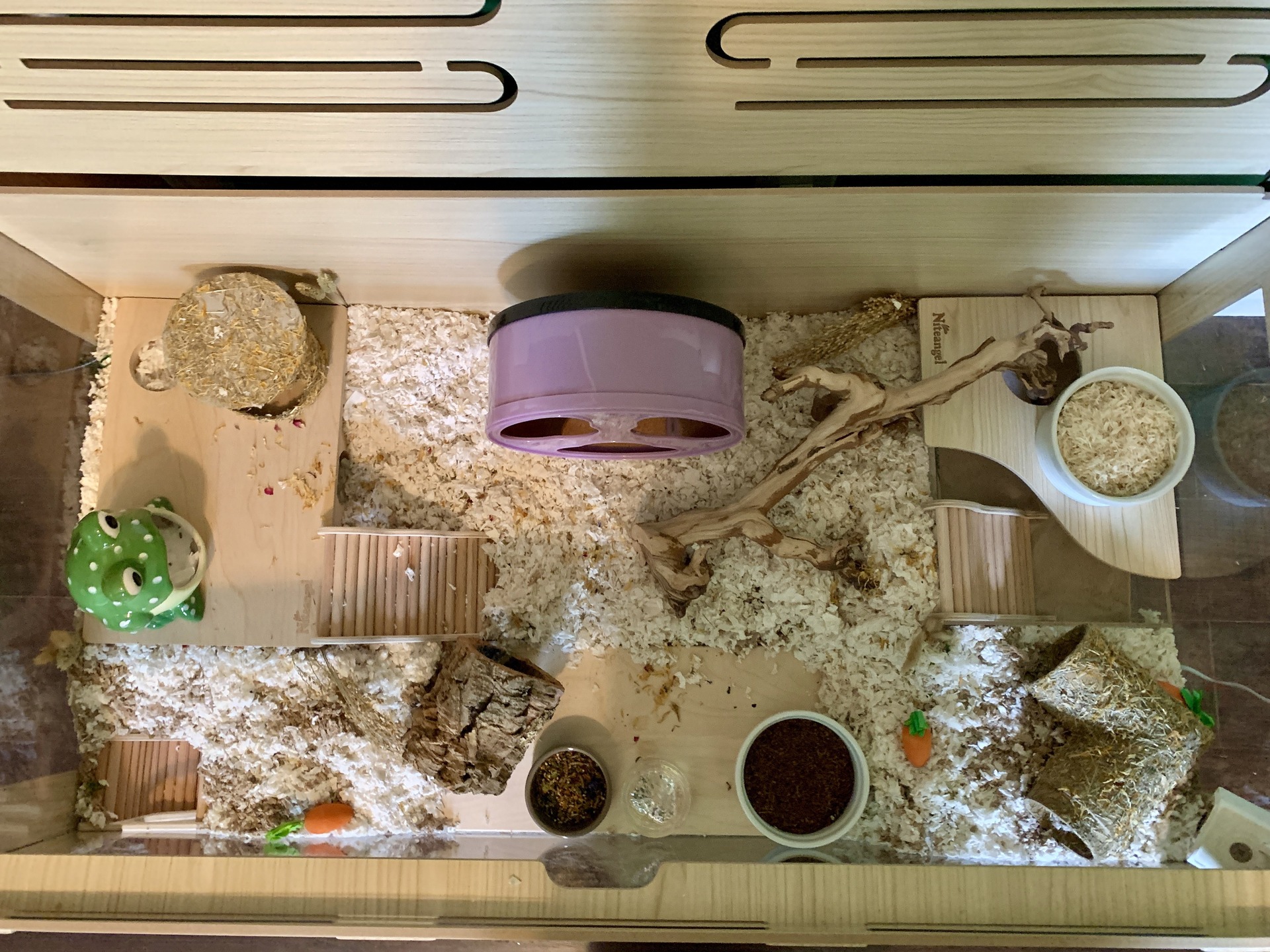 Finally finished setting up my first enclosure! Anything I should add? | Scrolller