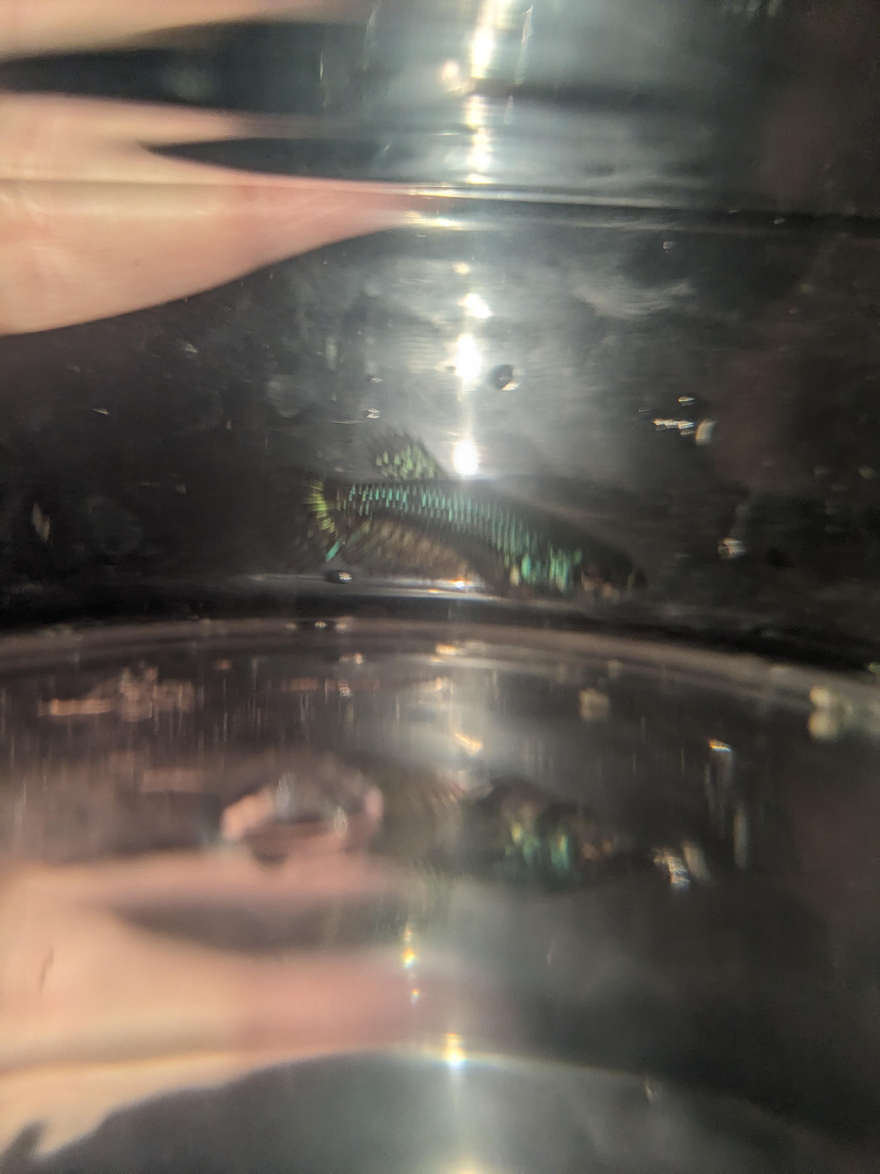 Discover more like Bettafish: Breed identification? and Related Content | Scrolller