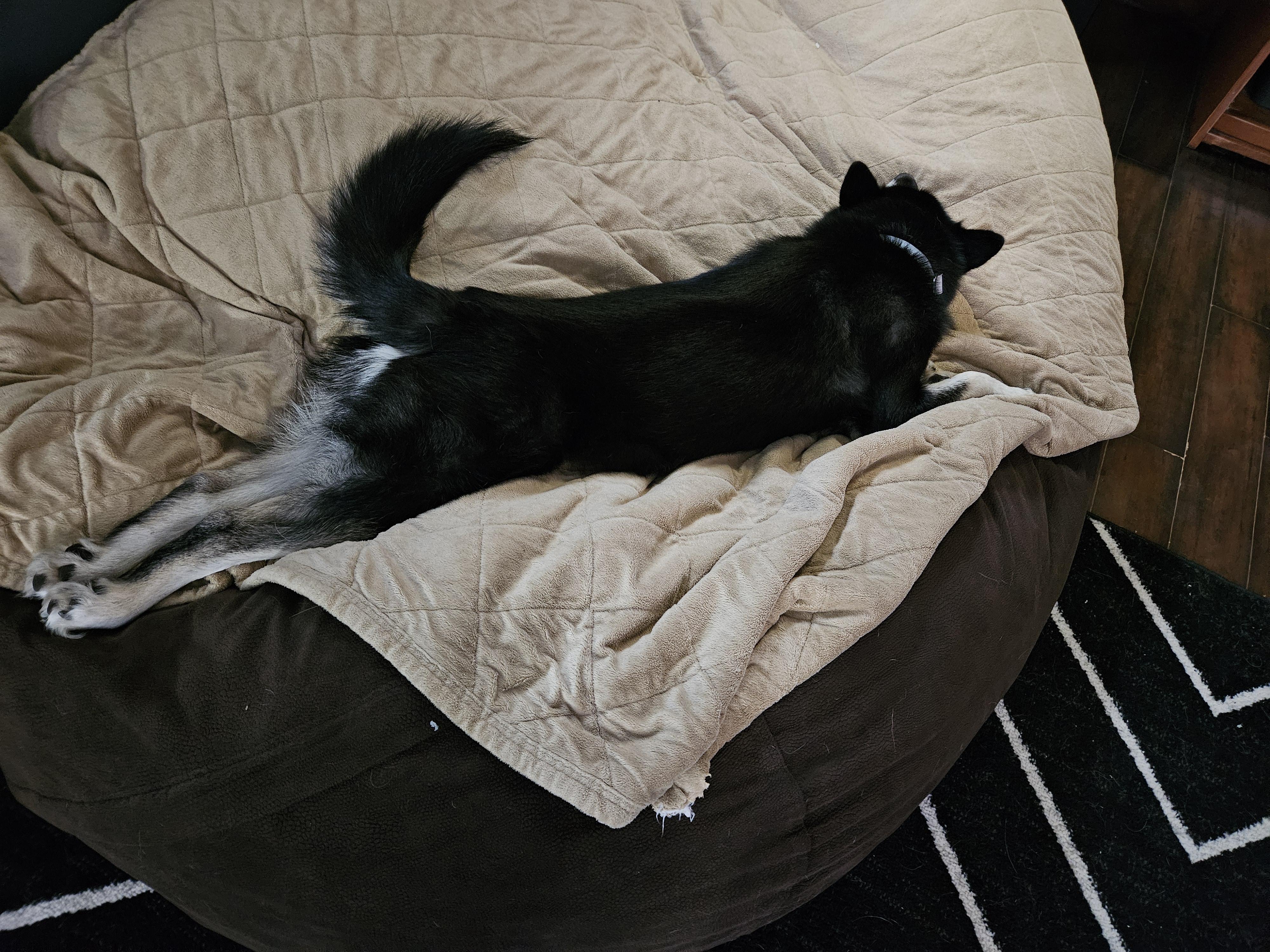 Toe beans on Miss Bean, show me your beans! | Scrolller