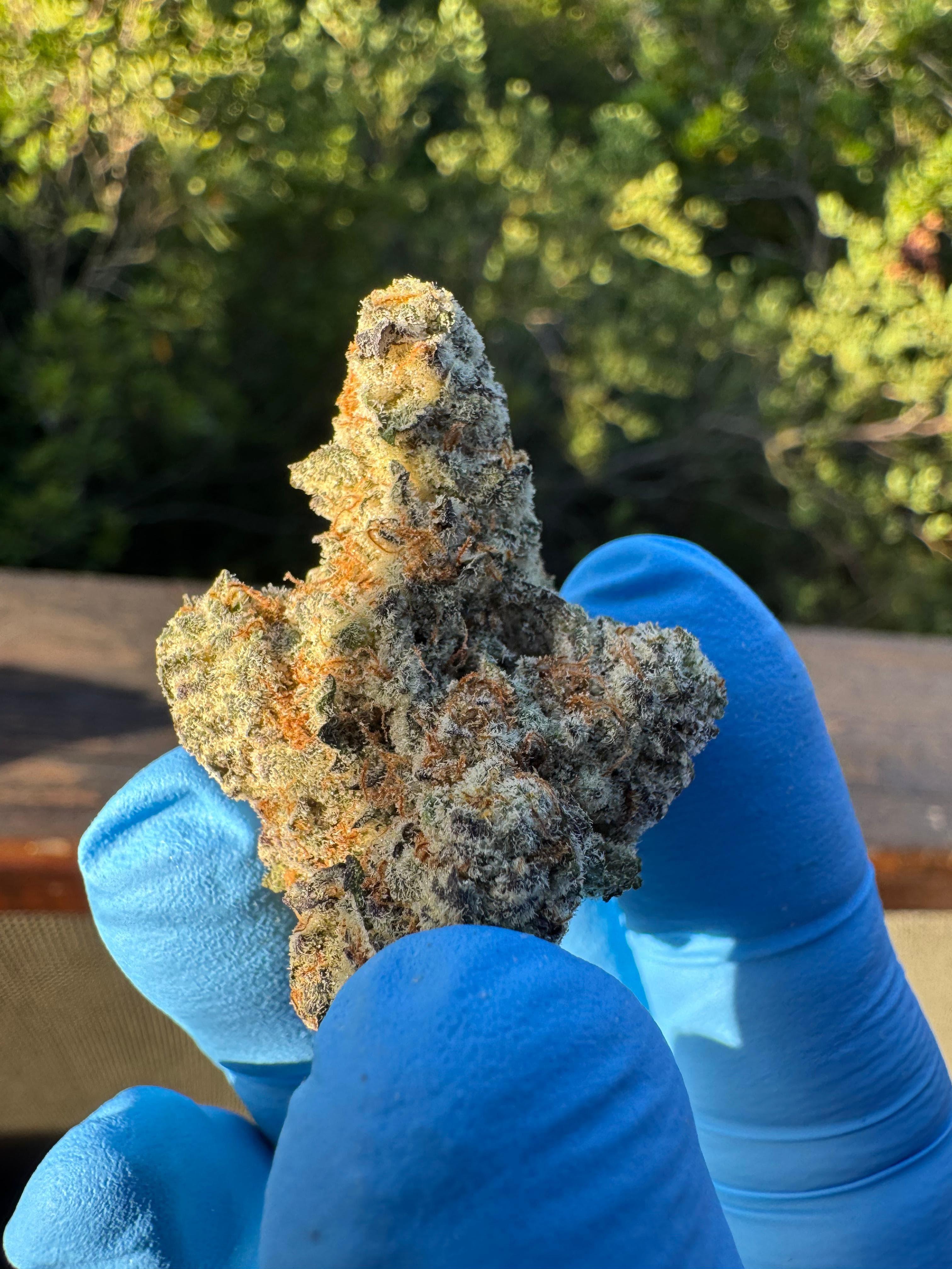 New batch of hydro | Scrolller