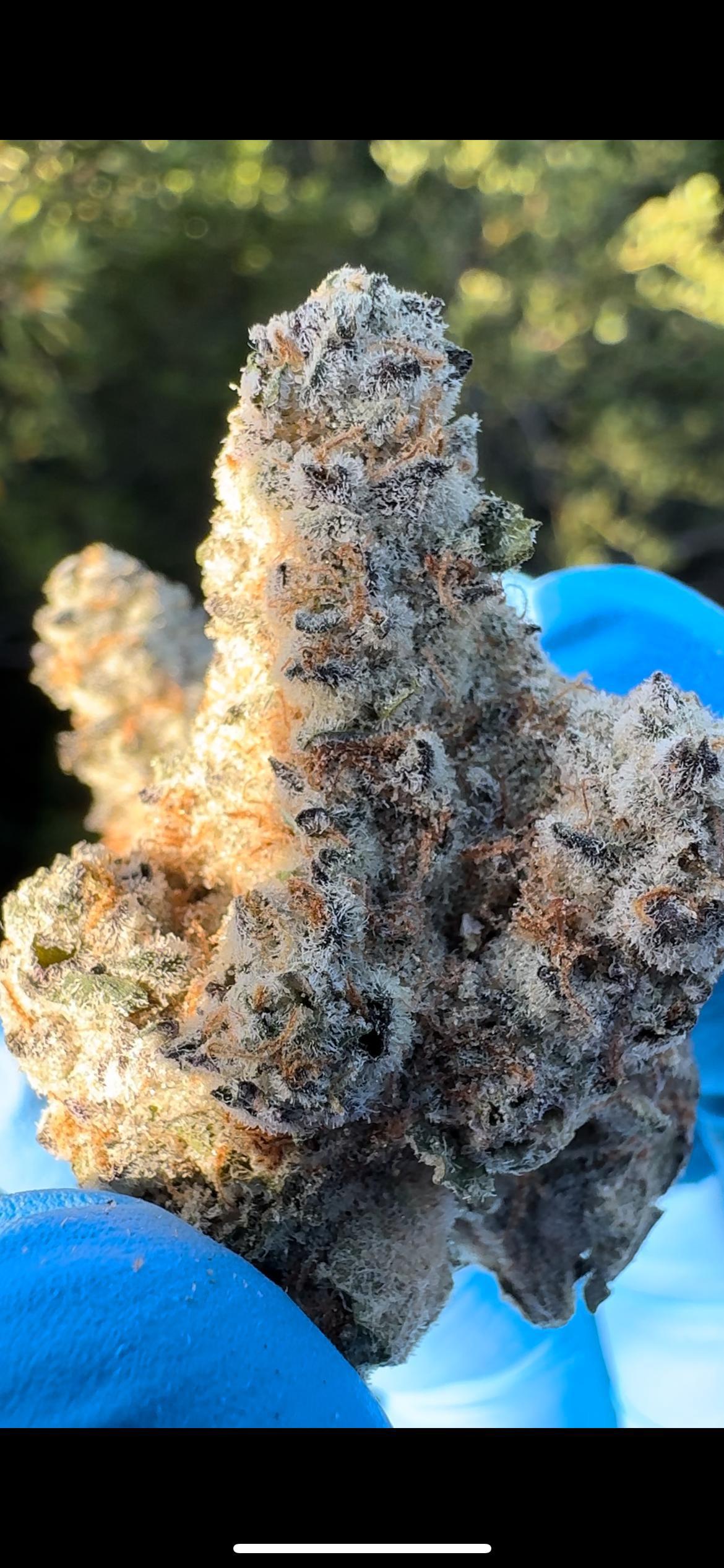 New batch of hydro | Scrolller