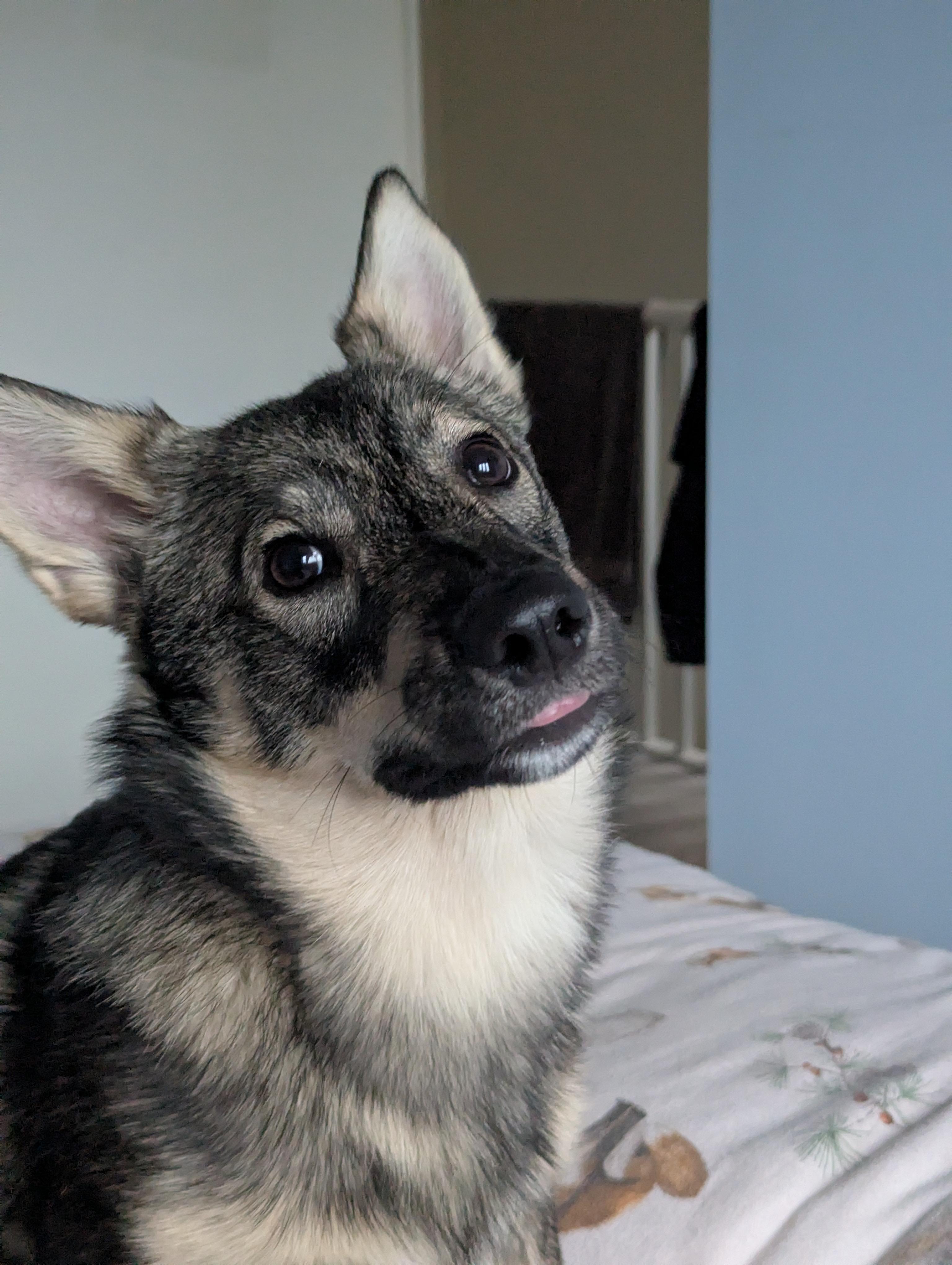 Before and after being called a derp | Scrolller