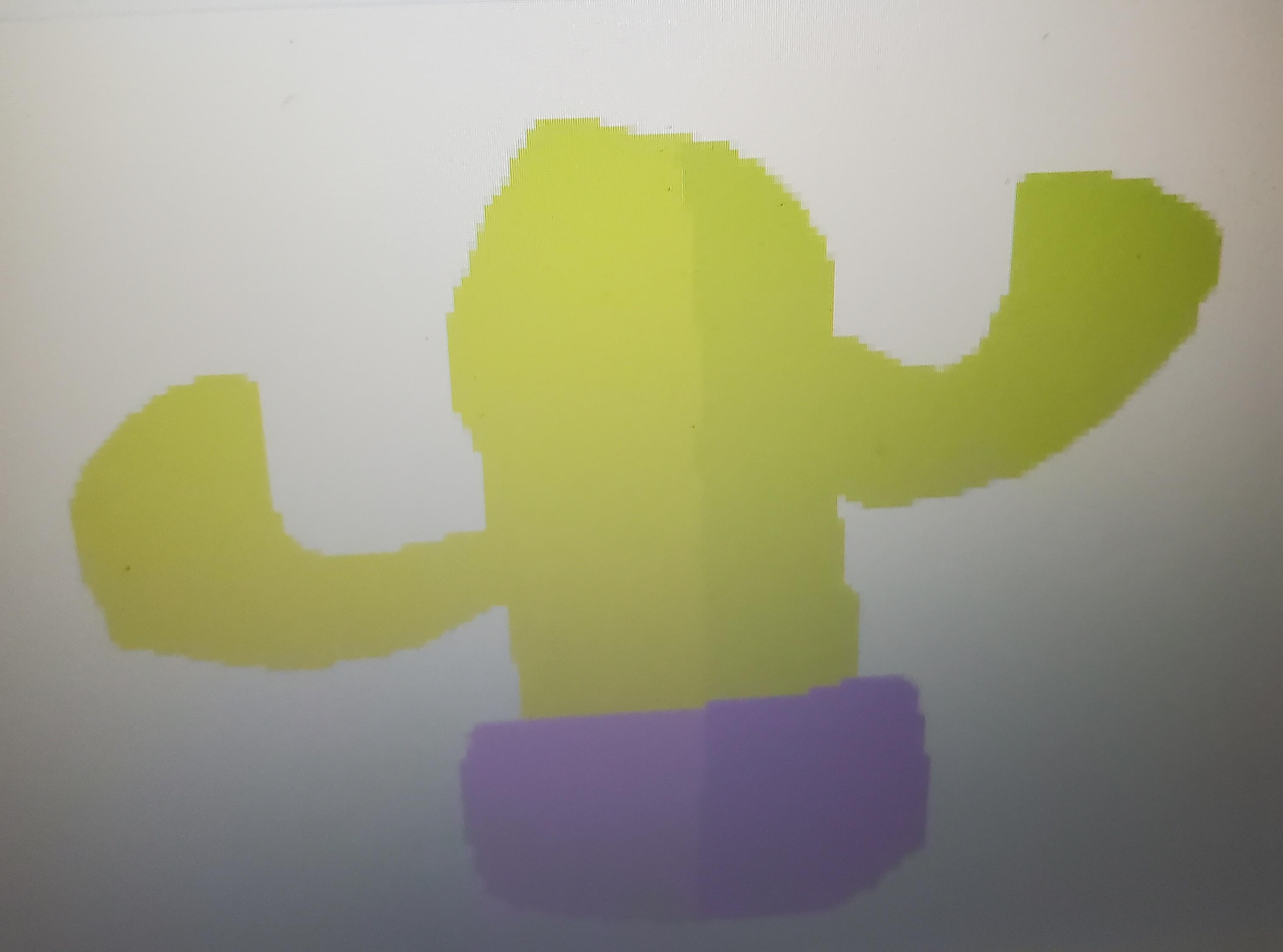 Here have a bunch of cacti | Scrolller