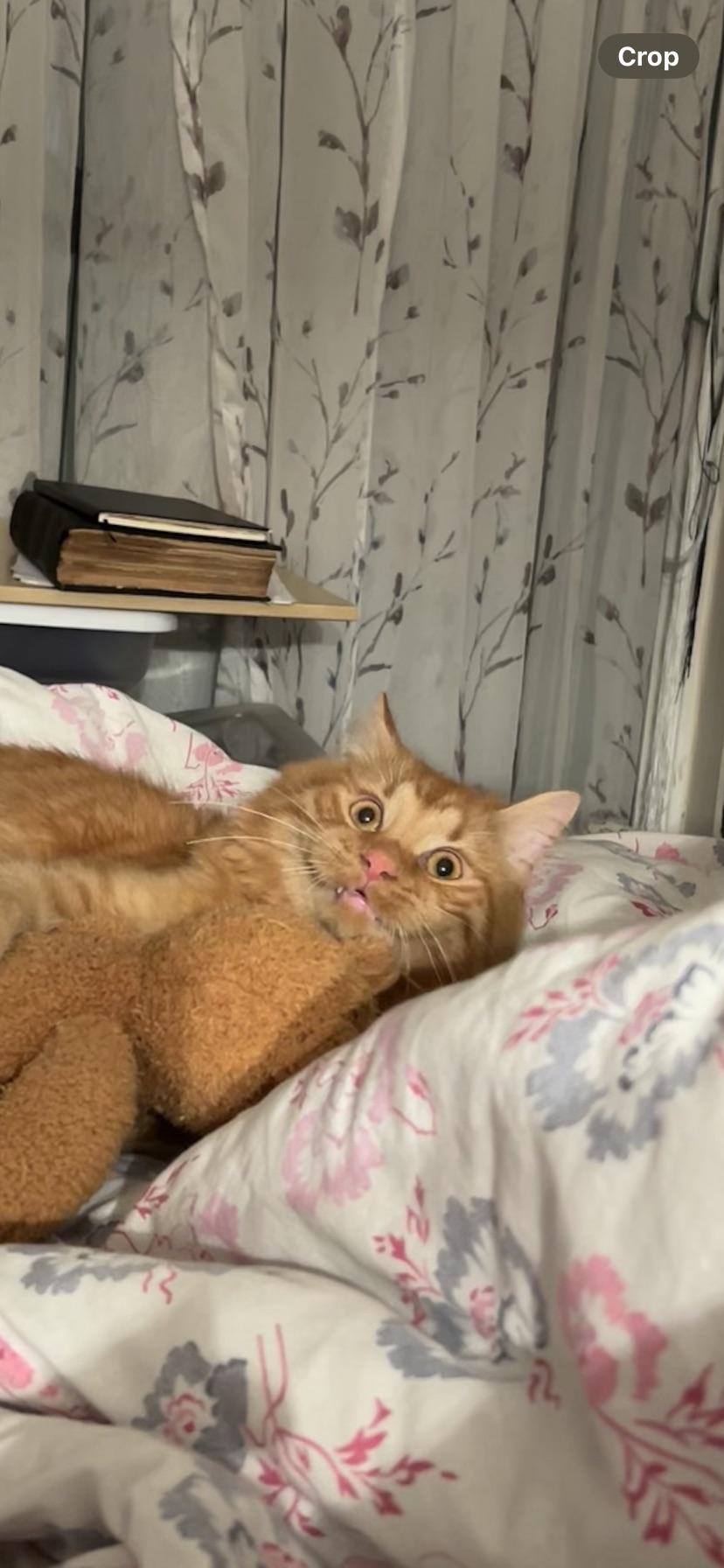 Show me unflattering/derpy pics of your sibs! | Scrolller