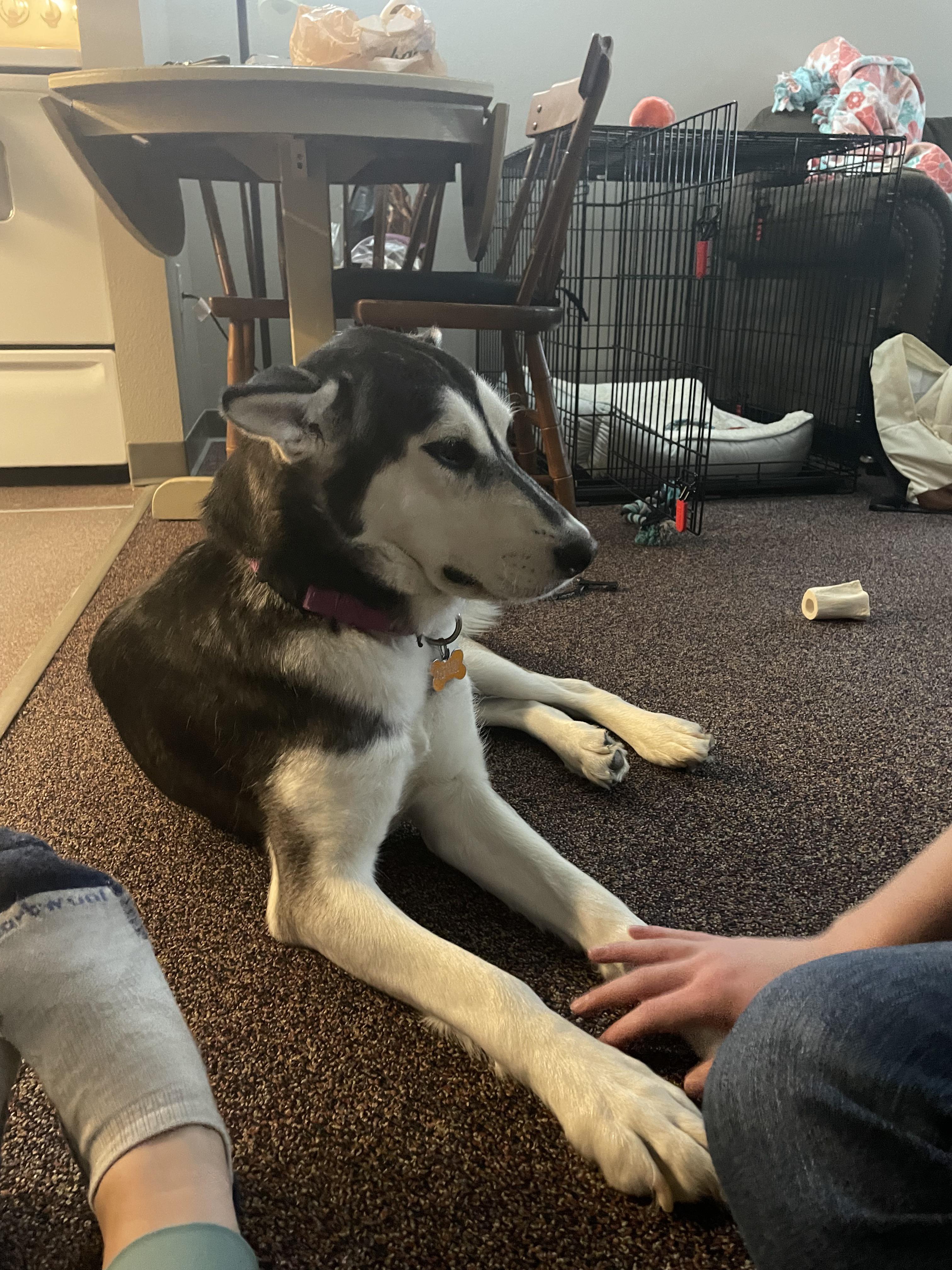 Always on airplane mode | Scrolller