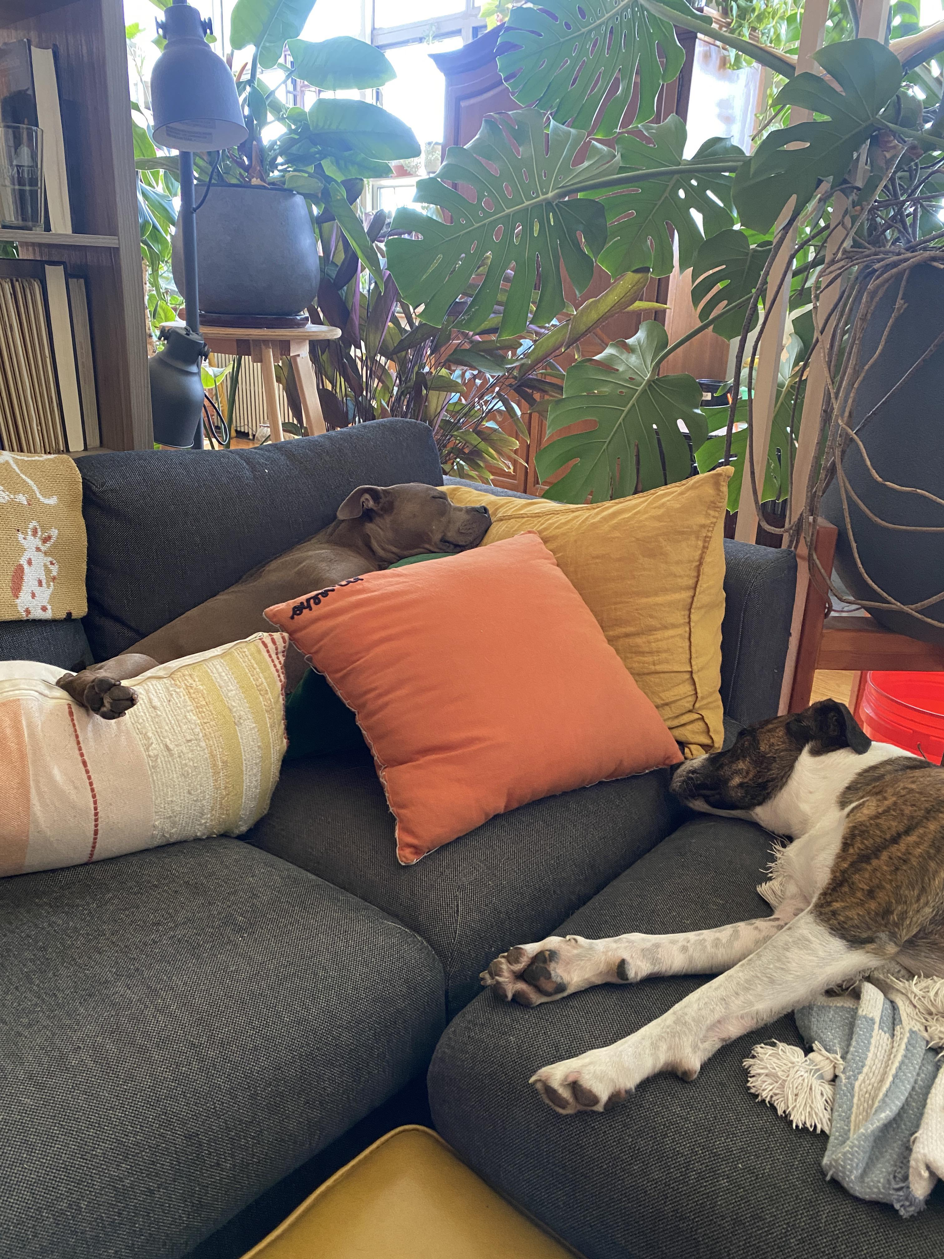 Help, I don’t think she’s comfortable | Scrolller