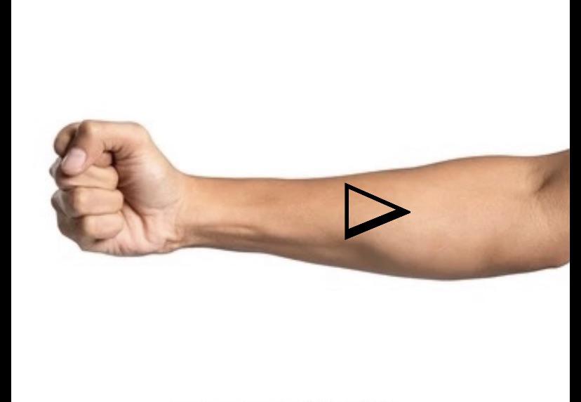 Want to get this done on my forearm. Which orientation makes the most sense? | Scrolller