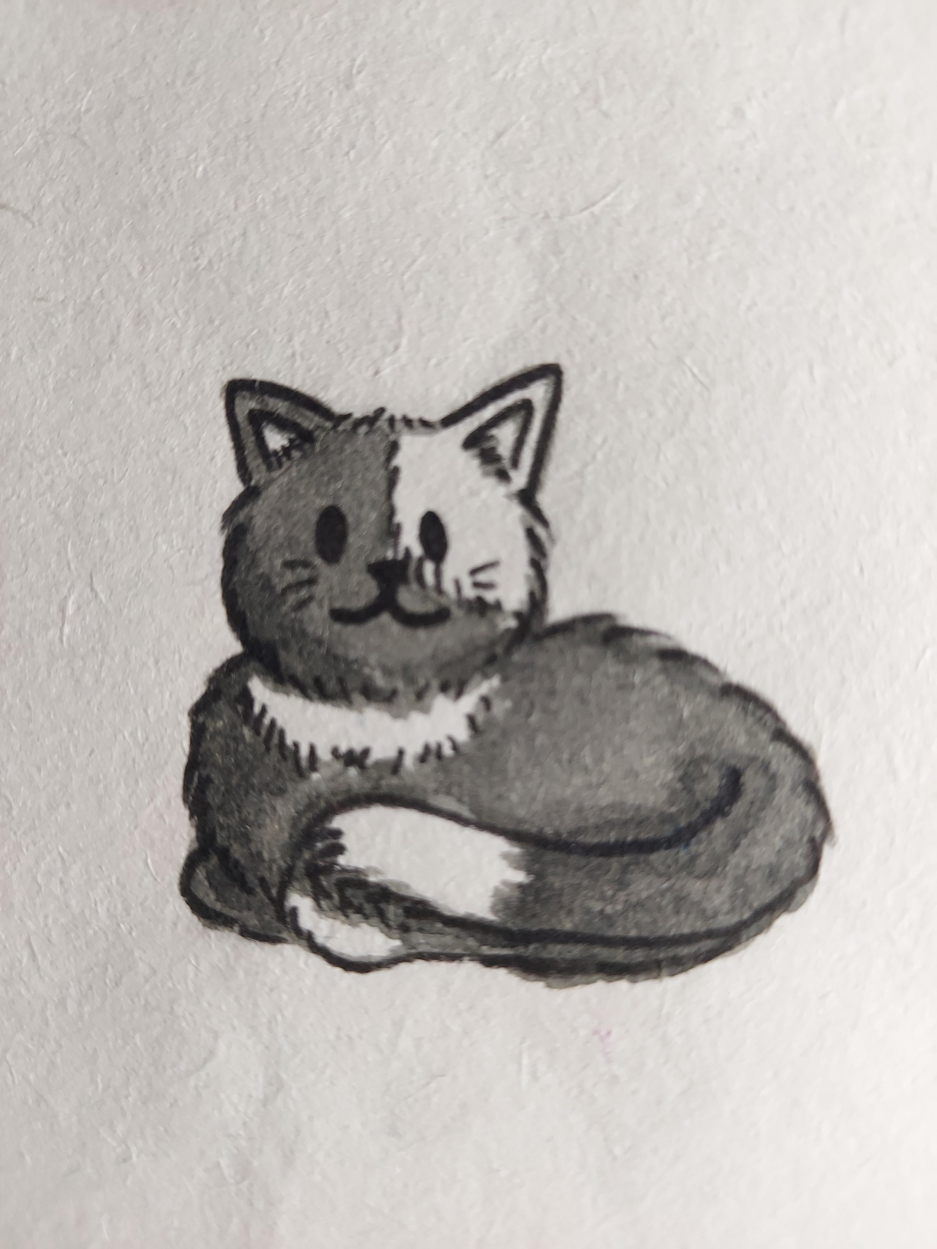 Some cats I drew | Scrolller