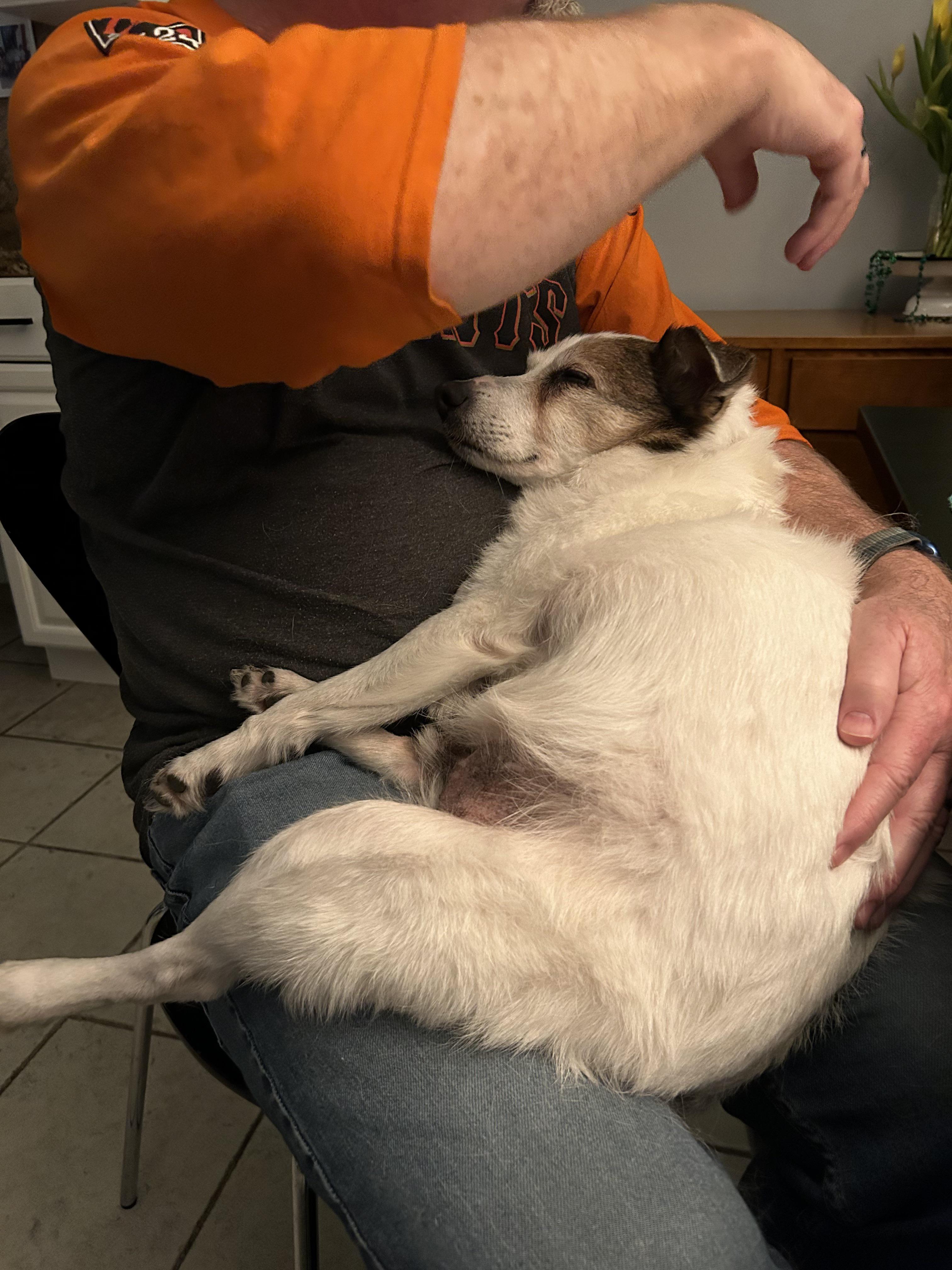 Riley and my dad have a very special bond:) | Scrolller