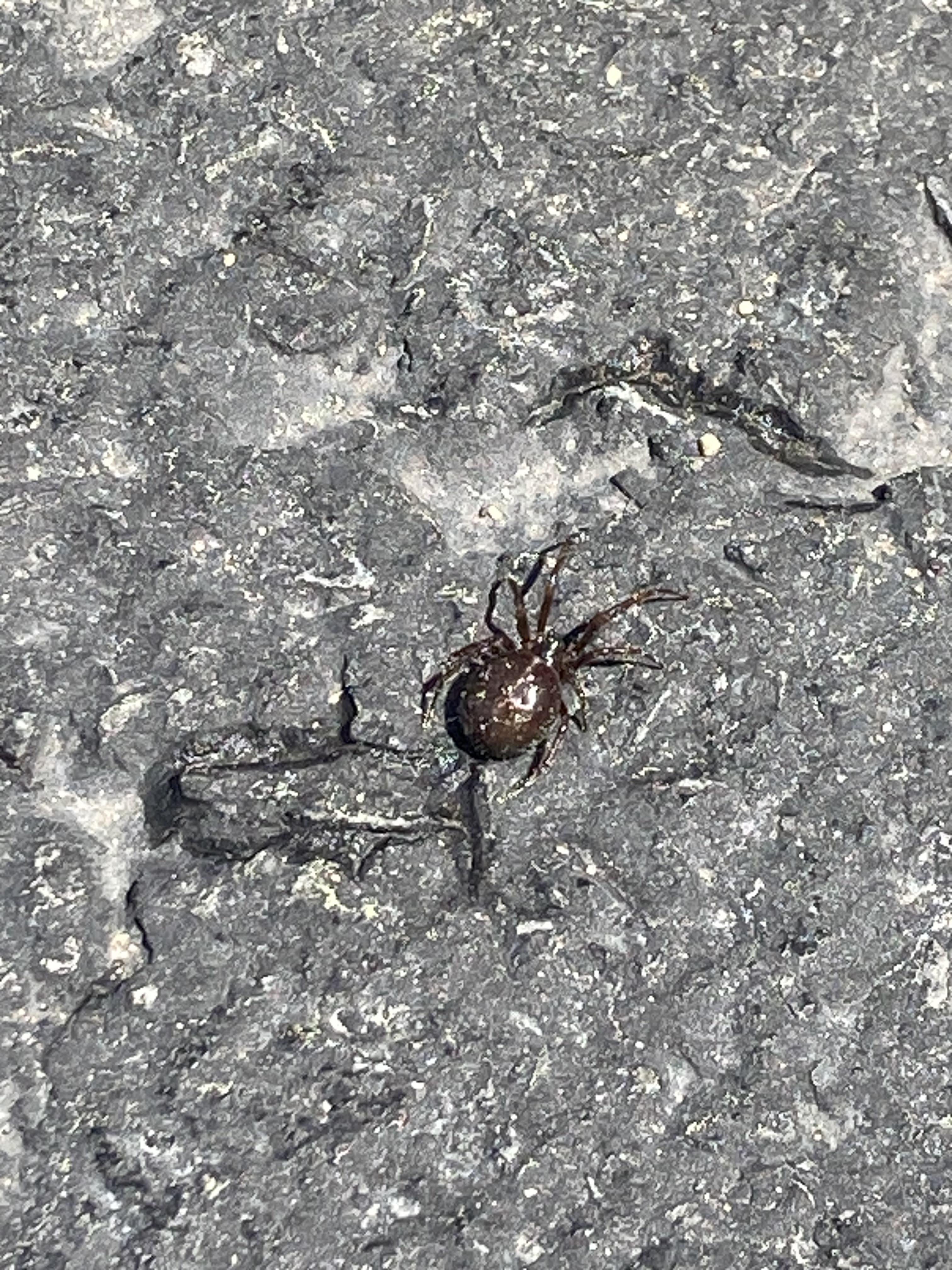 What is this one? Upstate NY. | Scrolller